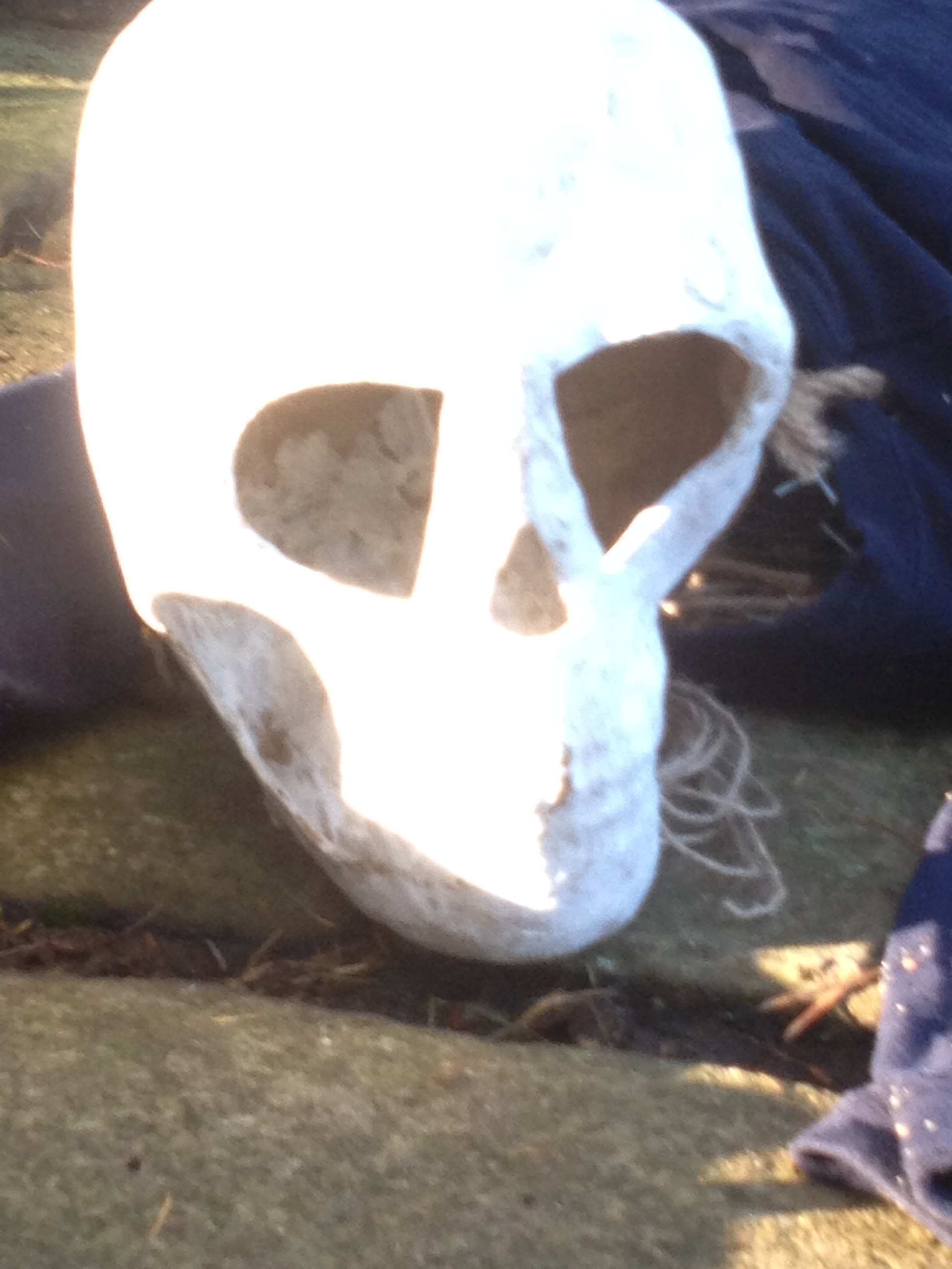 Decomposed Corpse : 5 Steps - Instructables