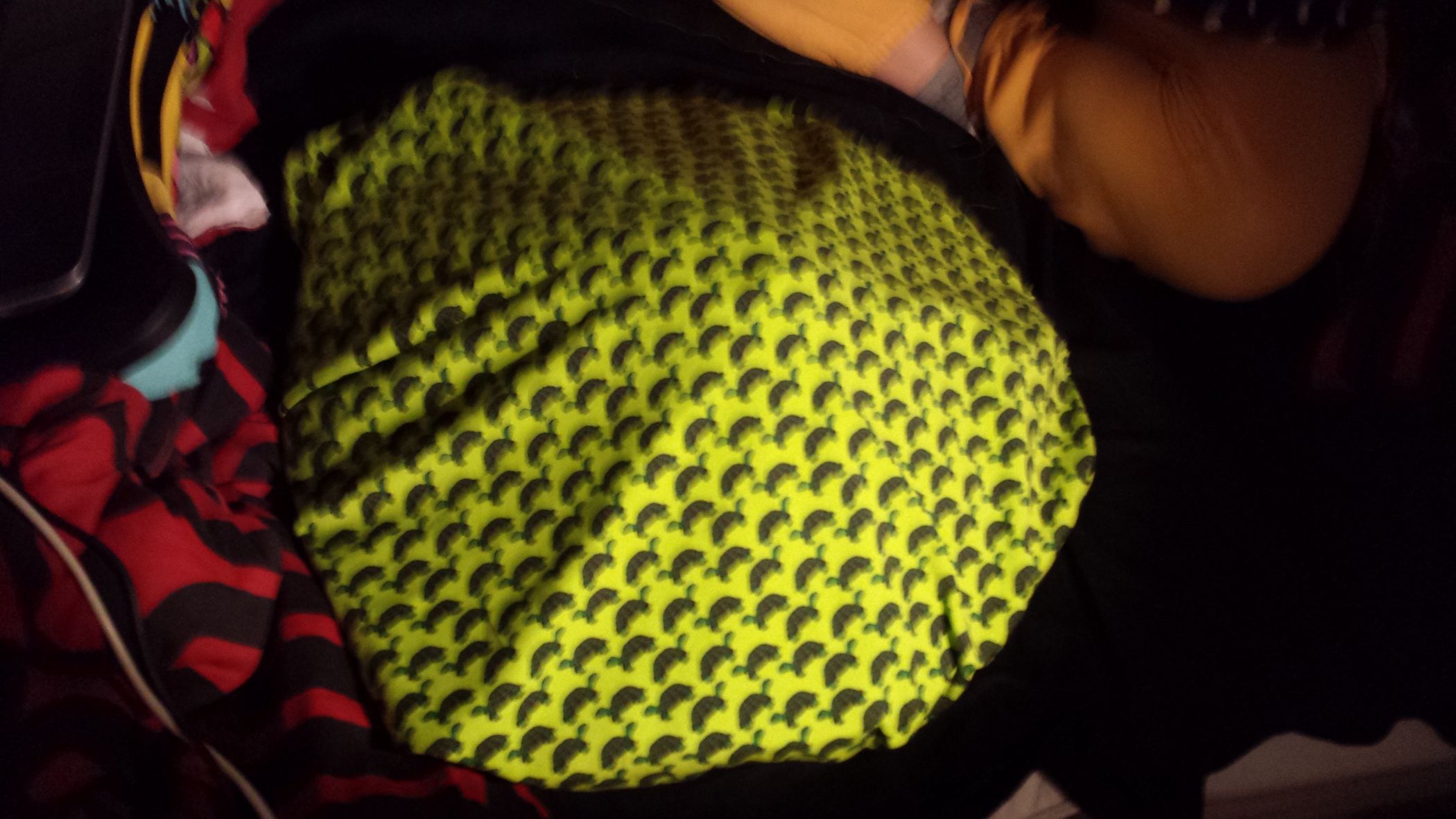 Turtle Shell for Children : 4 Steps - Instructables