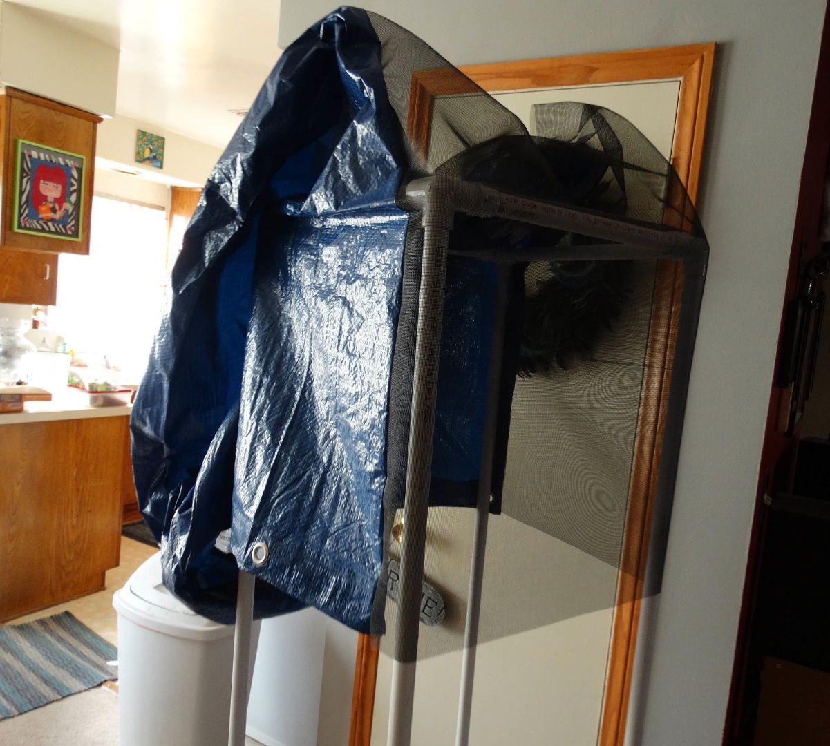 Raising Giant Silk Moths : 15 Steps (with Pictures) - Instructables