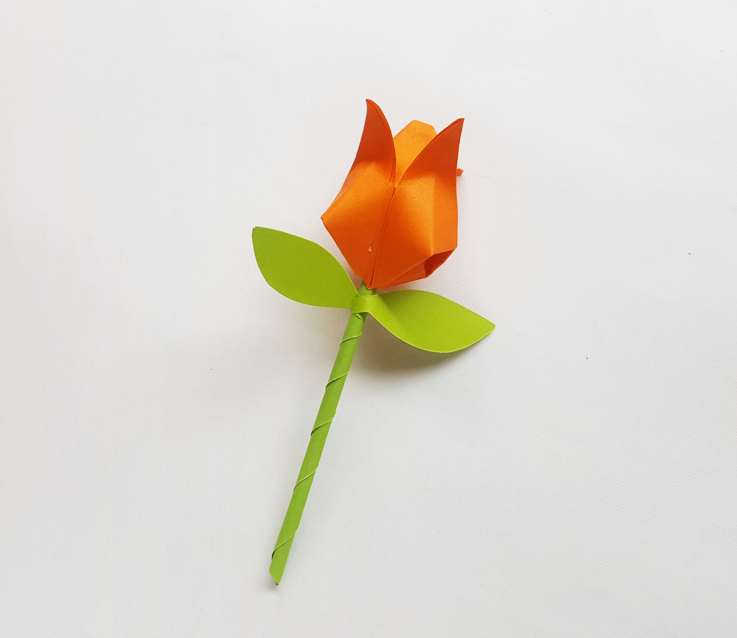 Origami Tulips : 7 Steps (with Pictures) - Instructables