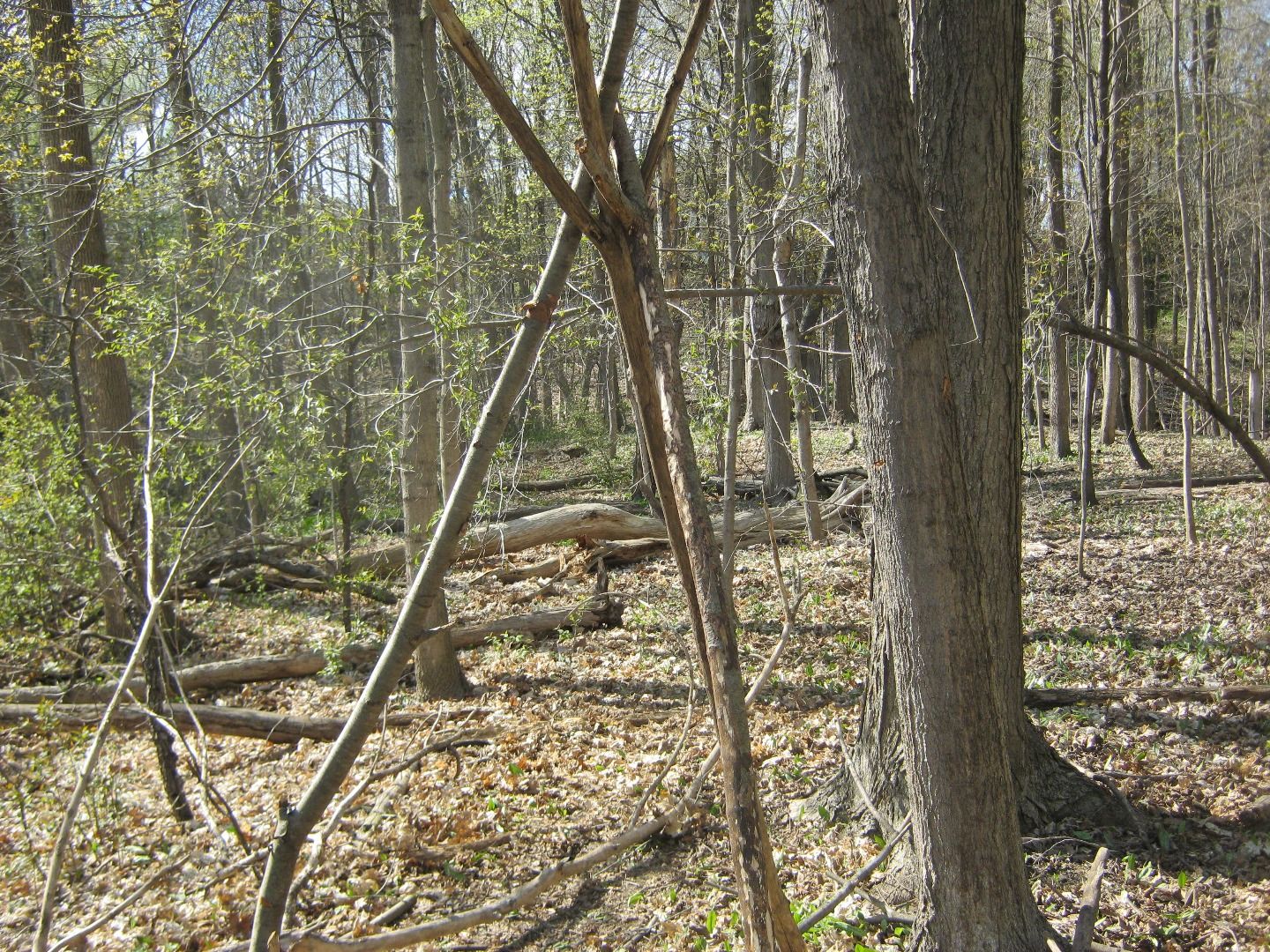 Rope Bed : 16 Steps (with Pictures) - Instructables