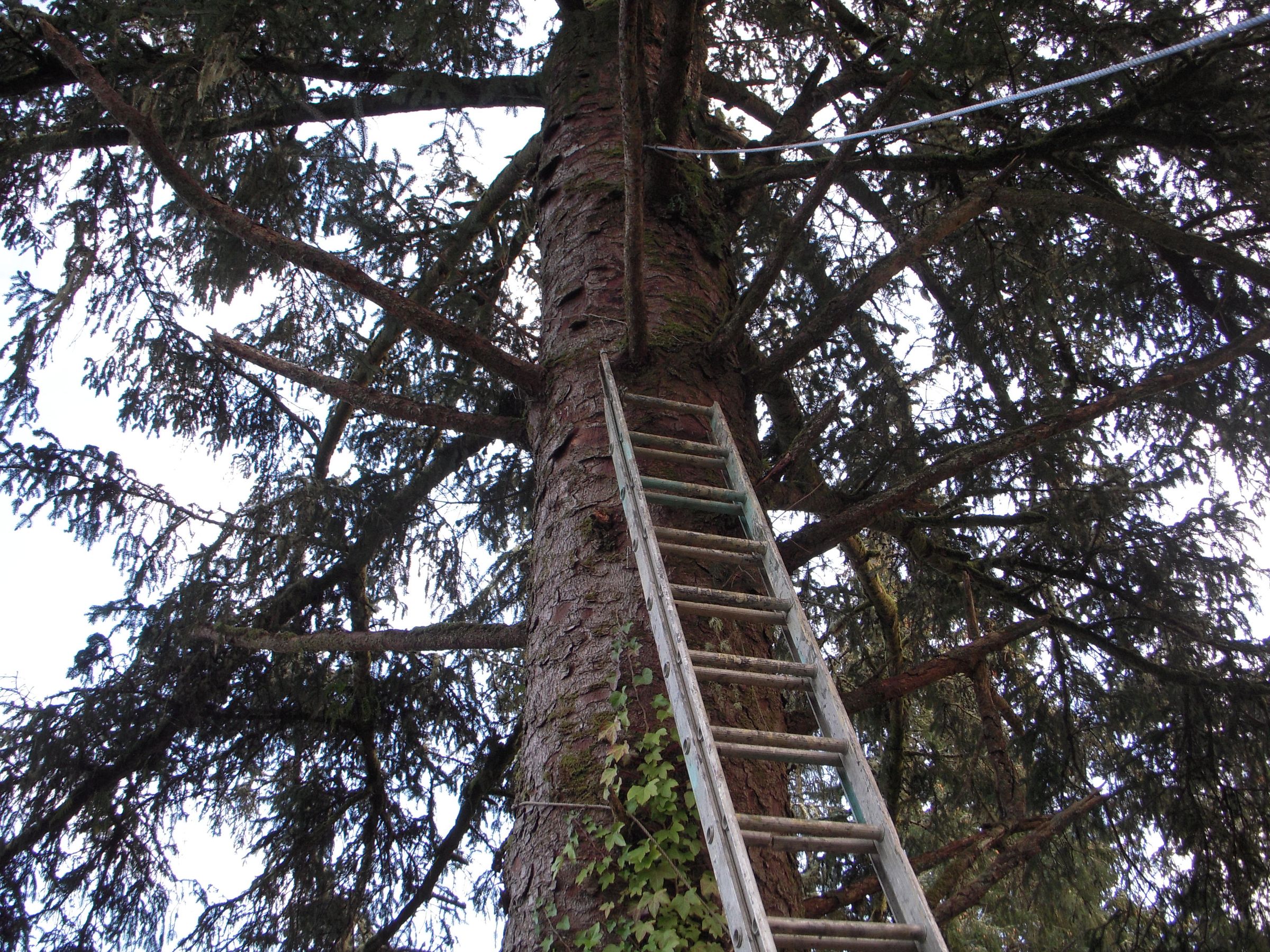 Build a Zip Line Out of Reused or Recyled Materials. : 7 Steps ...