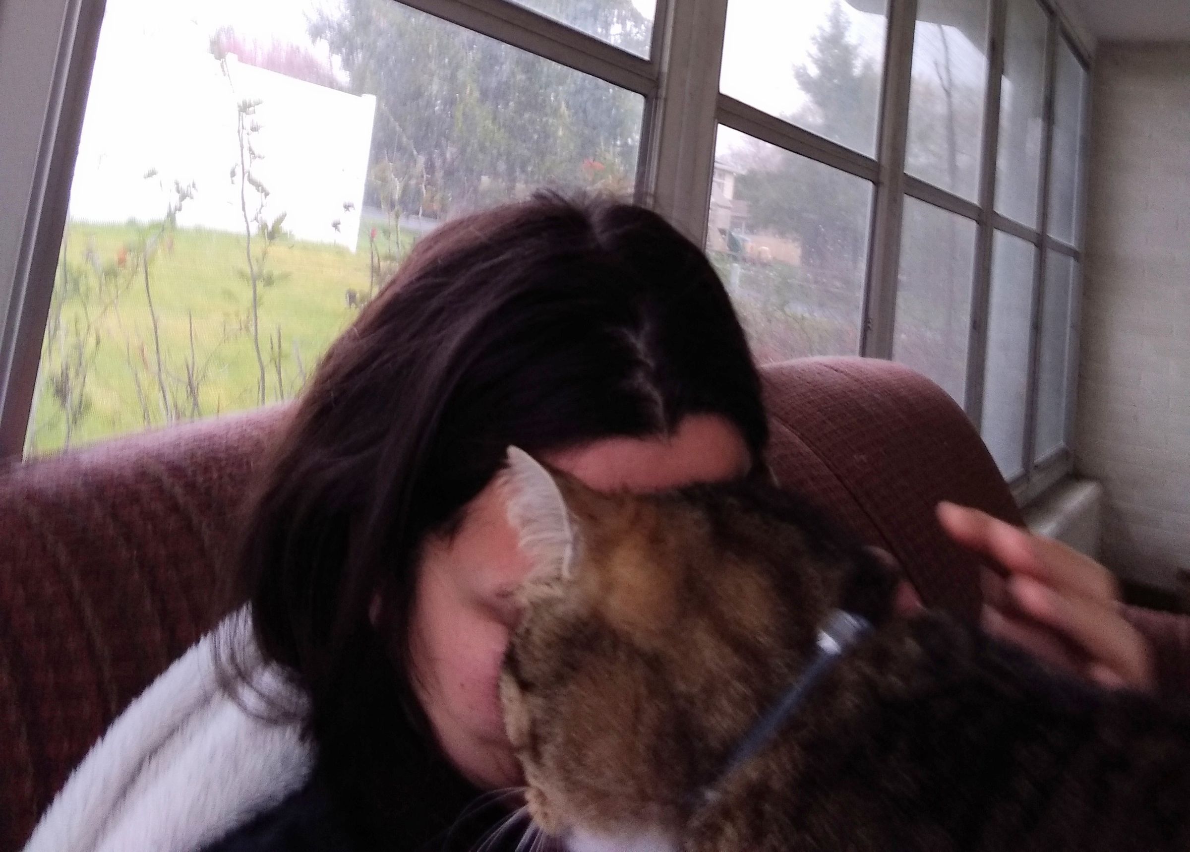 How To: Lull Your Cat to Sleep : 14 Steps (with Pictures) - Instructables