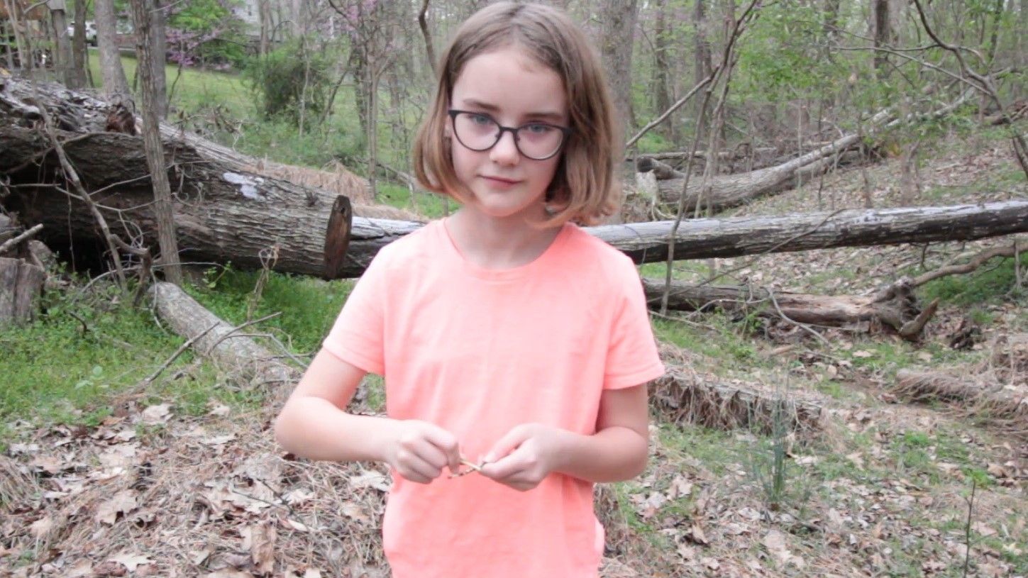 Tiny Gee Haw Whimmy Diddle : 12 Steps (with Pictures) - Instructables