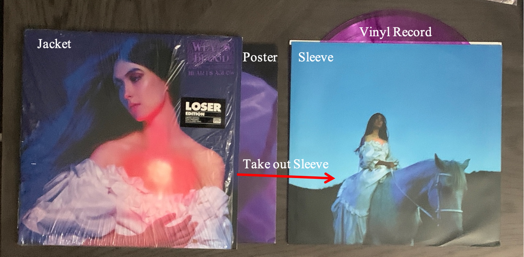 How to Play and Store a New Vinyl Record : 22 Steps (with Pictures ...