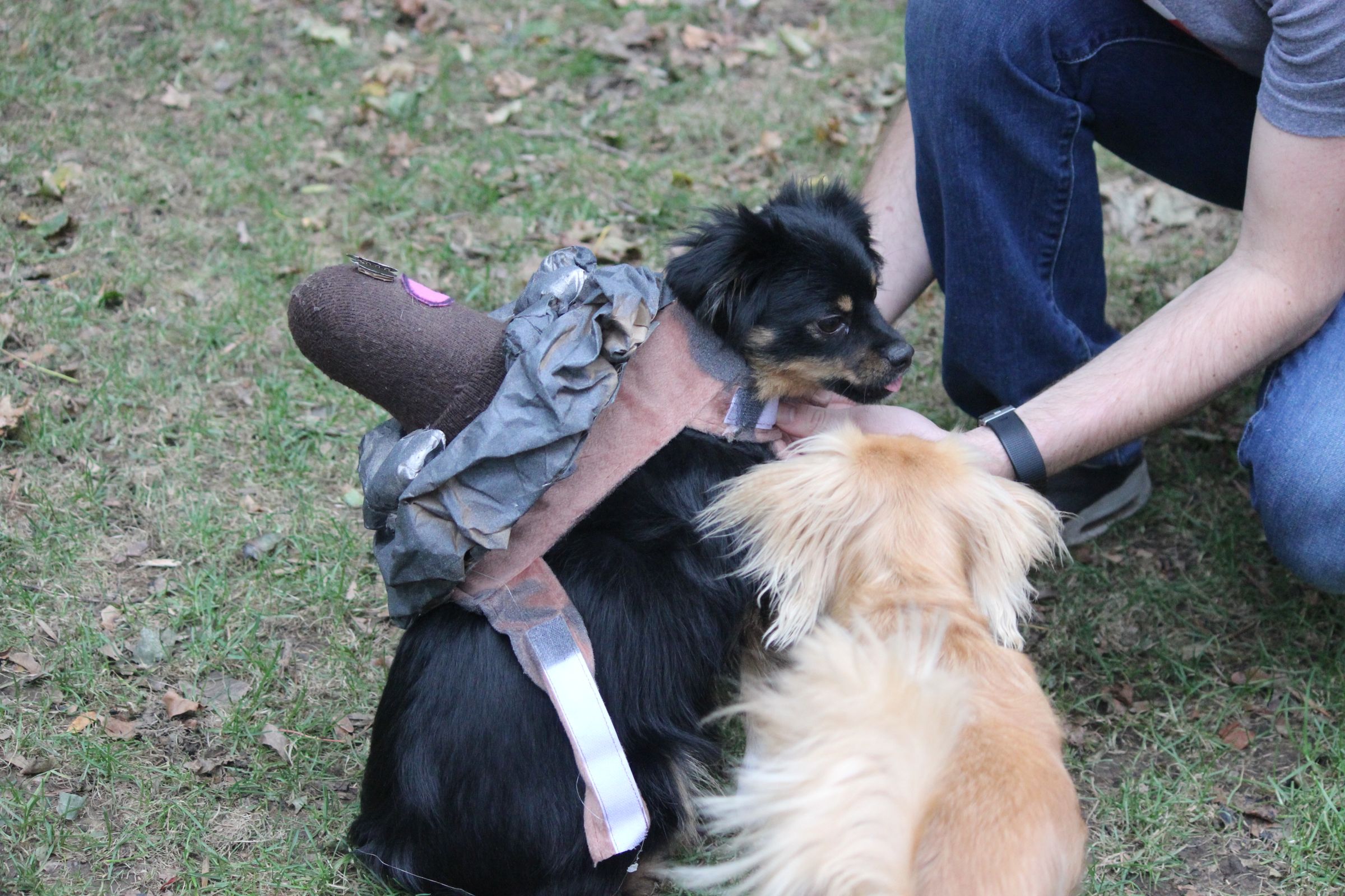 Diglett Dog Costume : 14 Steps (with Pictures) - Instructables