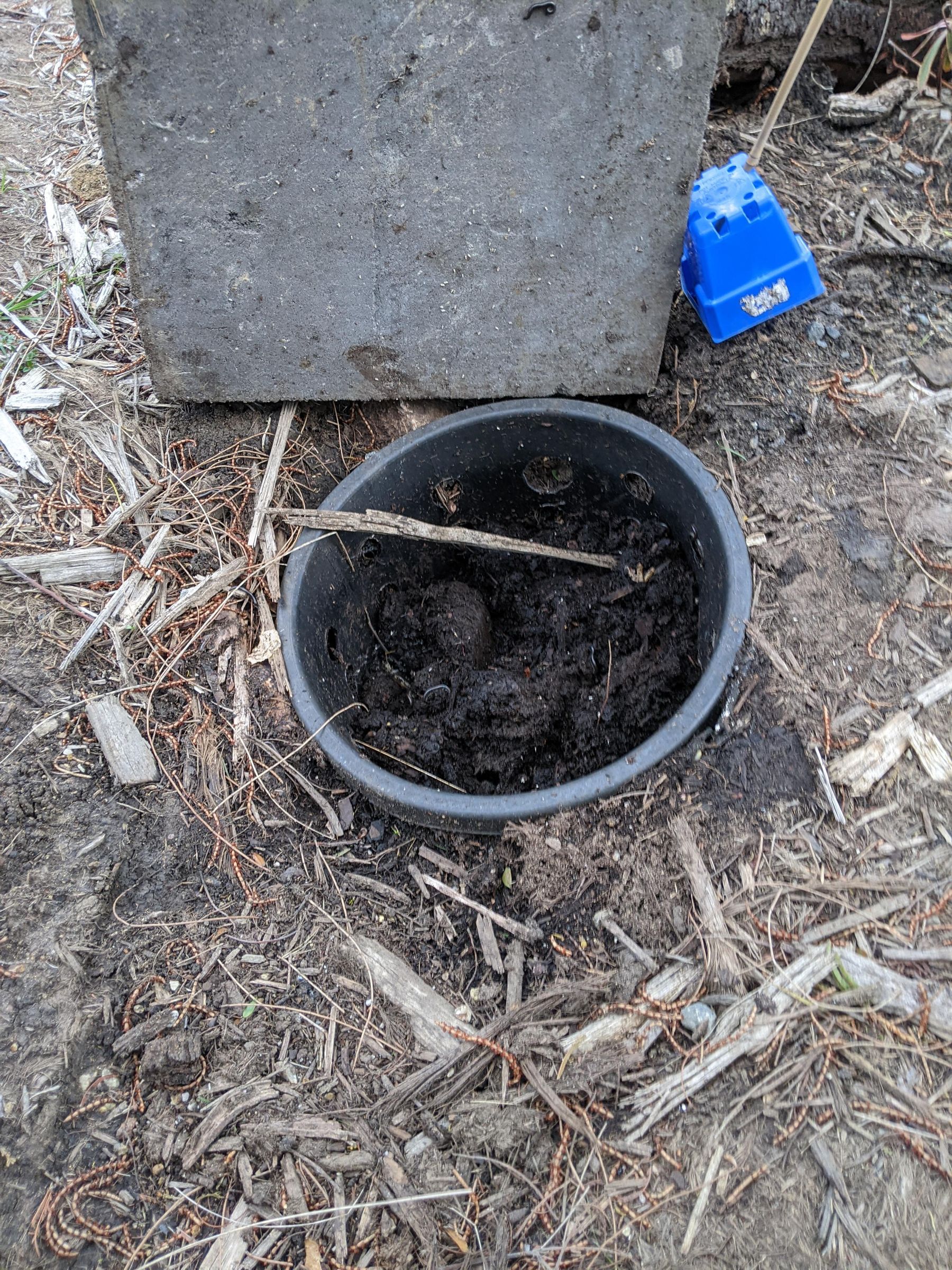 In-ground Worm Farm : 8 Steps (with Pictures) - Instructables