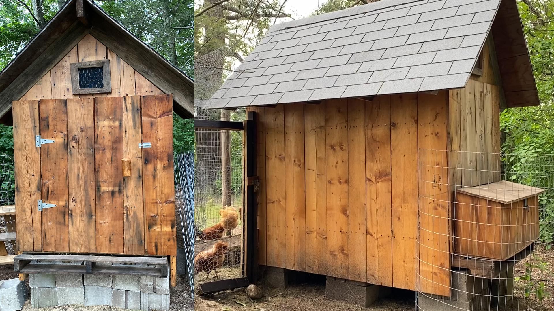 Awesome Chicken Coop From (Almost) 100% Reused/Repurposed Materials ...