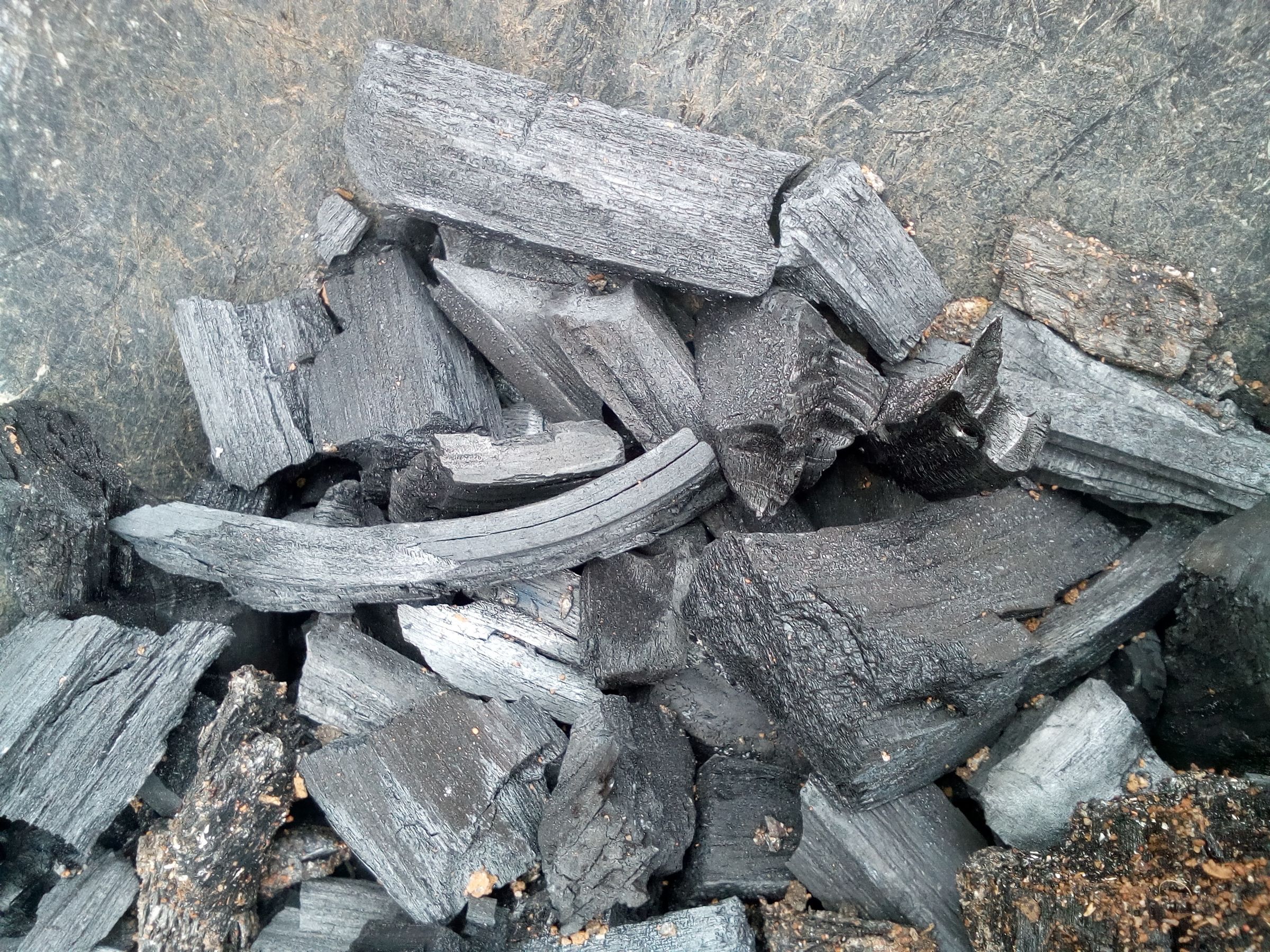 BioChar Charcoal - My Way of Making It. : 5 Steps (with Pictures ...