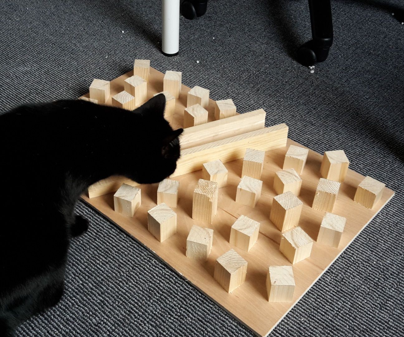 Foraging Board for Cats - Instructables
