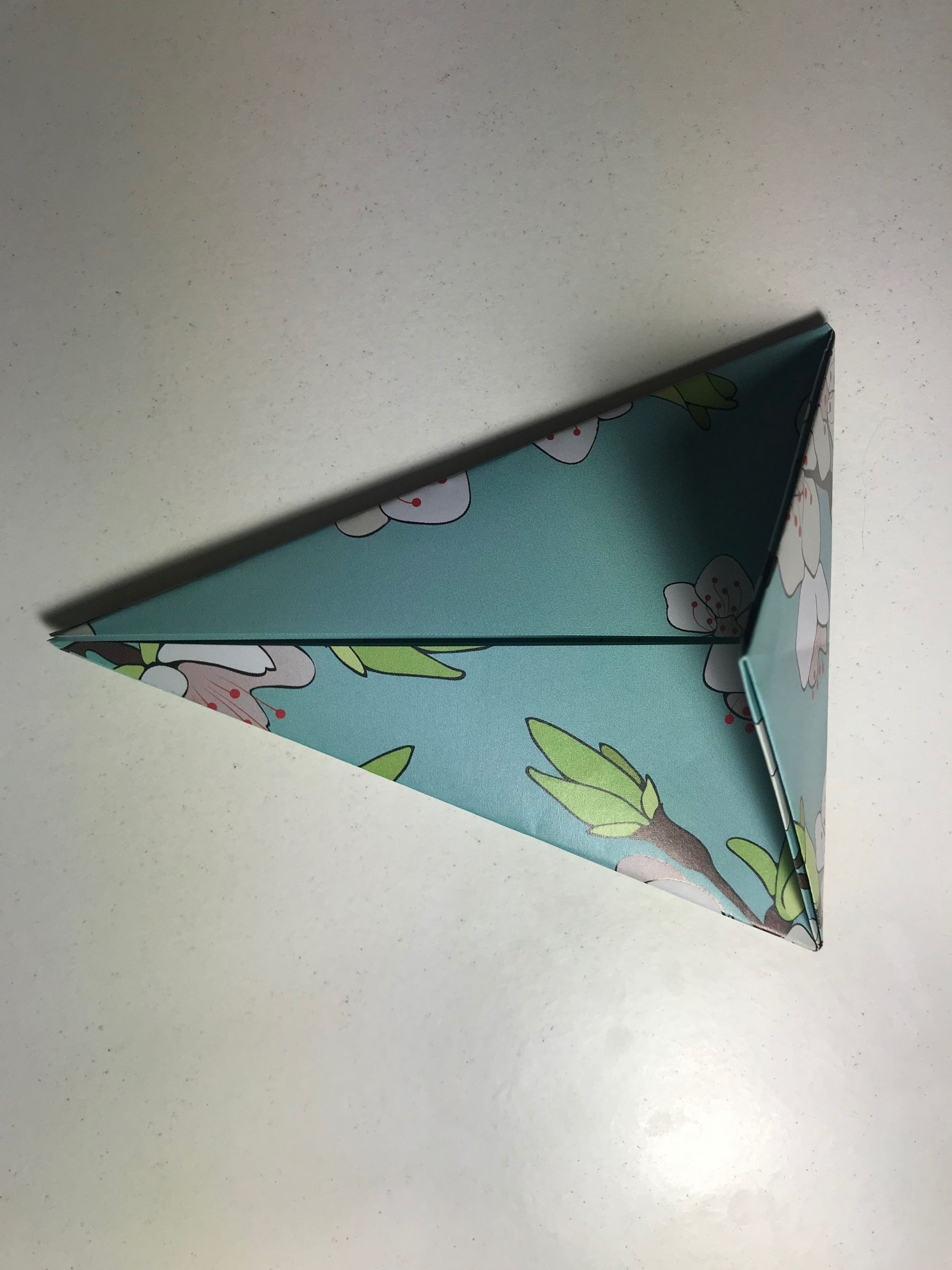 Origami Dragonfly : 14 Steps - Instructables