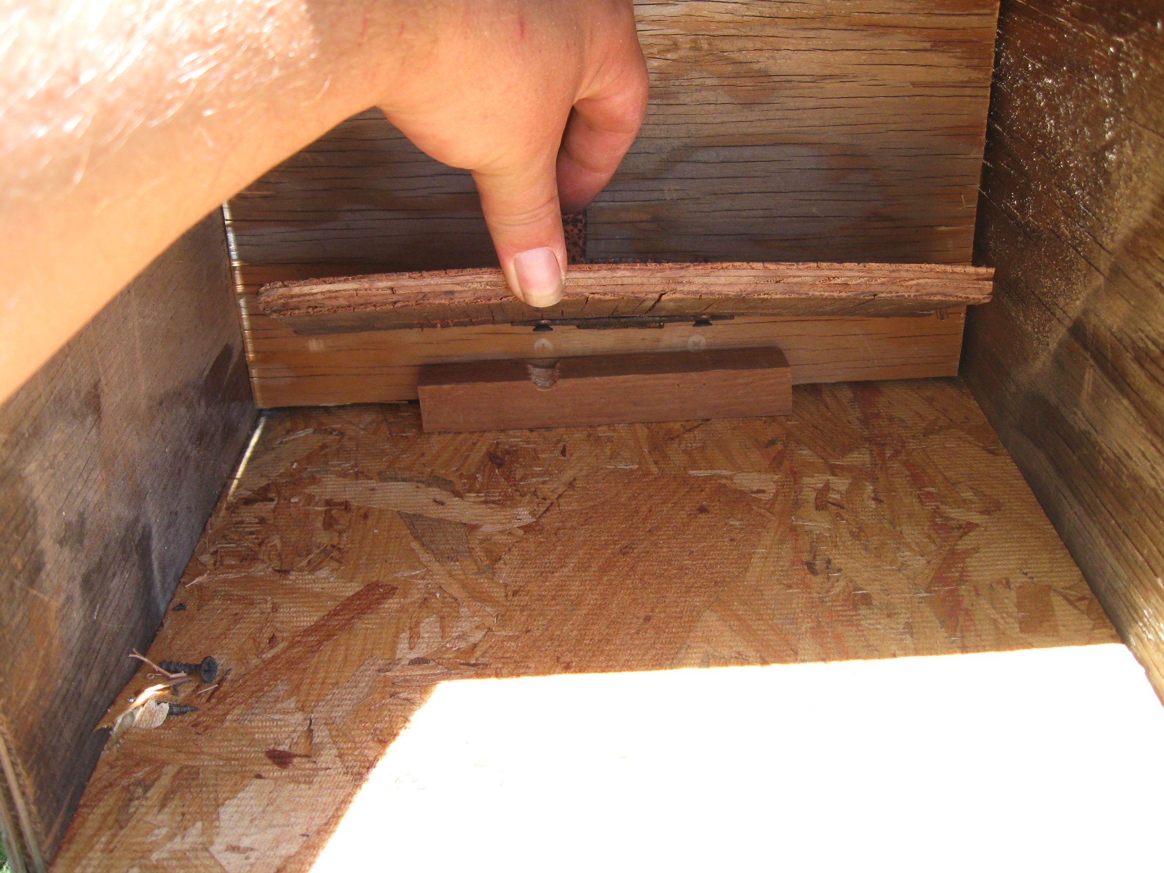 Free "Catch'em Live" Trap : 12 Steps (with Pictures) - Instructables