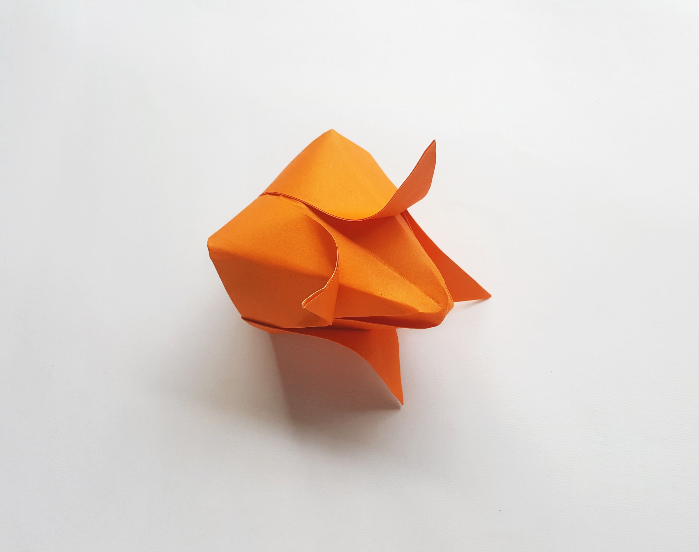 Origami Tulips : 7 Steps (with Pictures) - Instructables