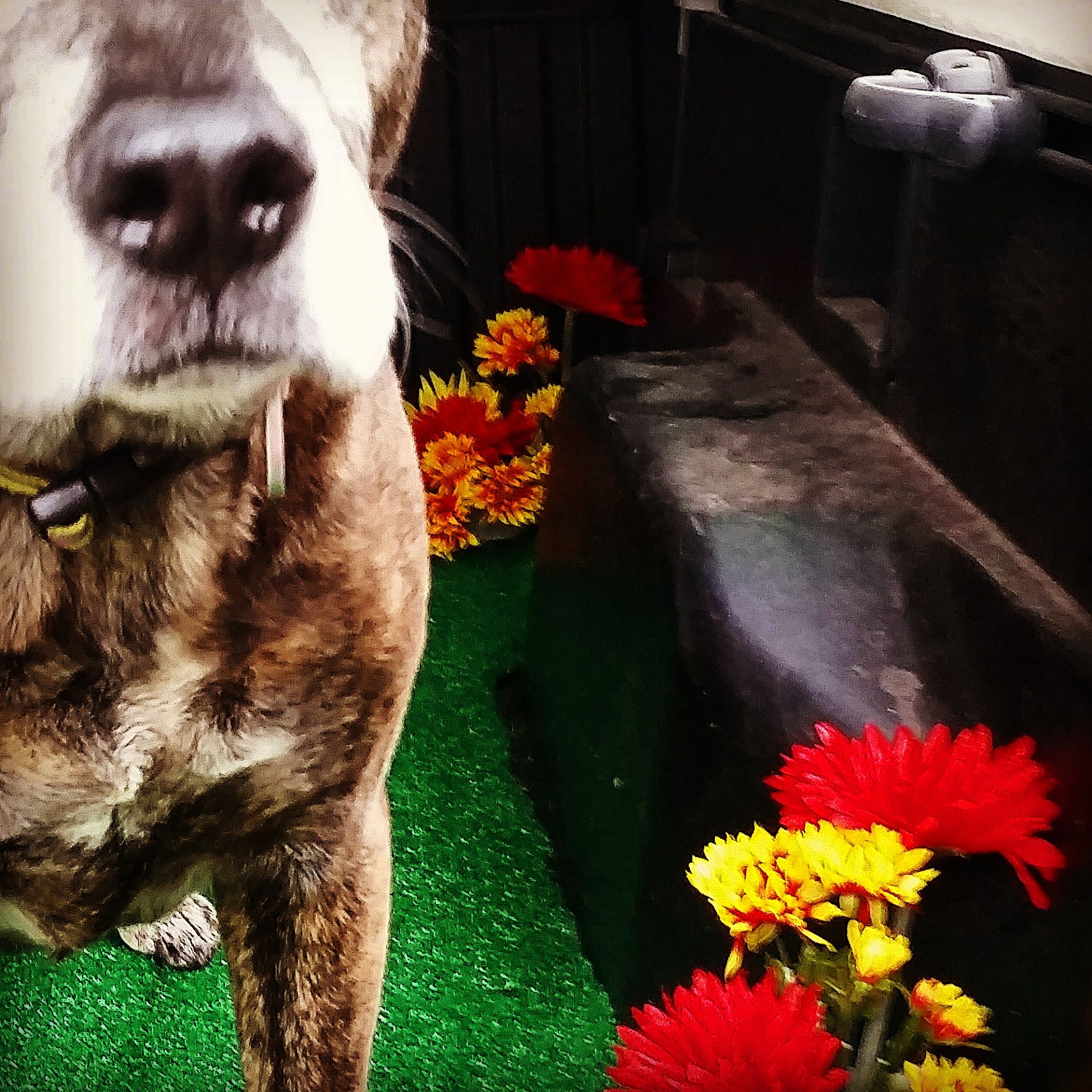 Truck Flower Bed : 4 Steps - Instructables