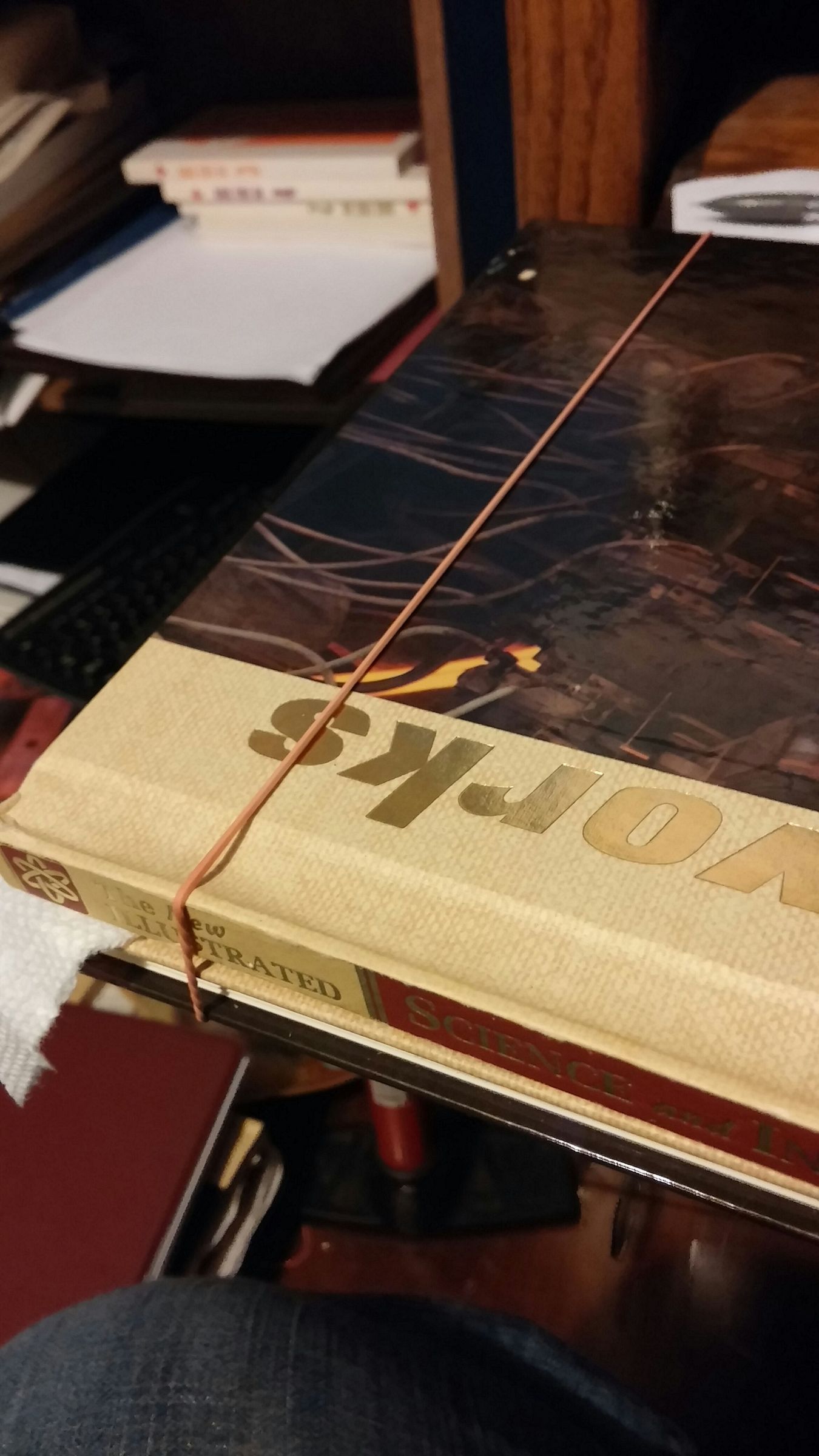 Easy Plant Press : 5 Steps - Instructables