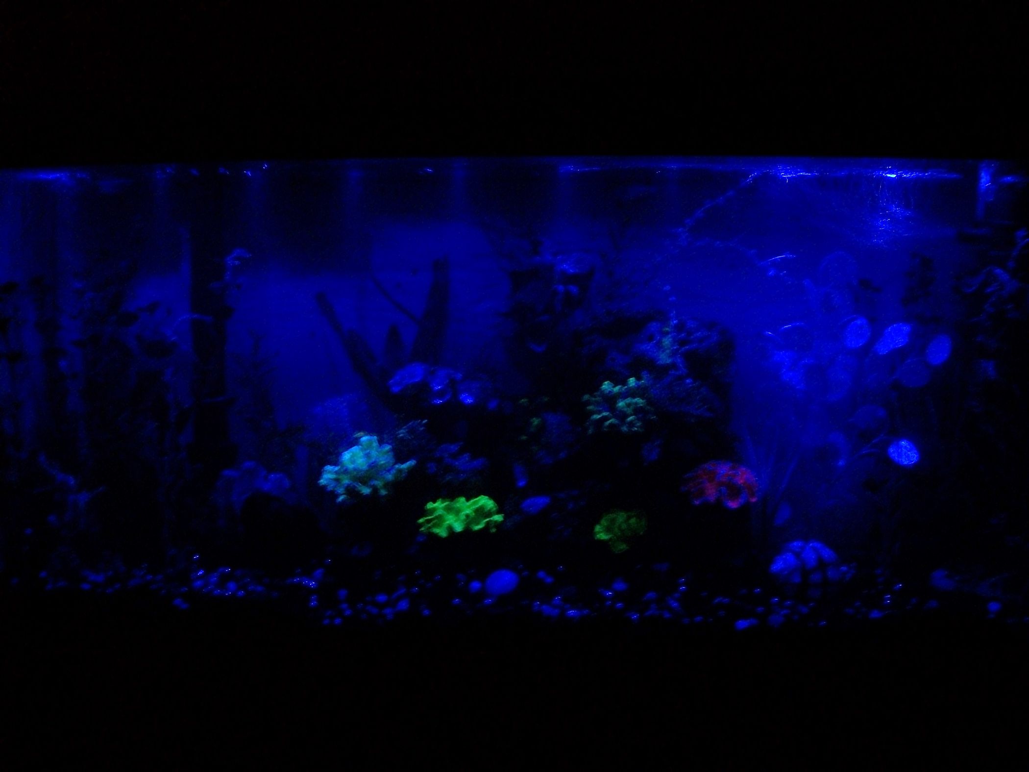 Daylight/moonlight Two-way LED Fishtank Light : 6 Steps (with Pictures ...