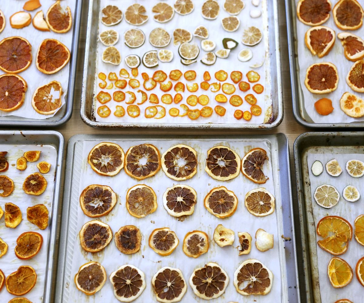 Make Citrus Powder : 9 Steps (with Pictures) - Instructables