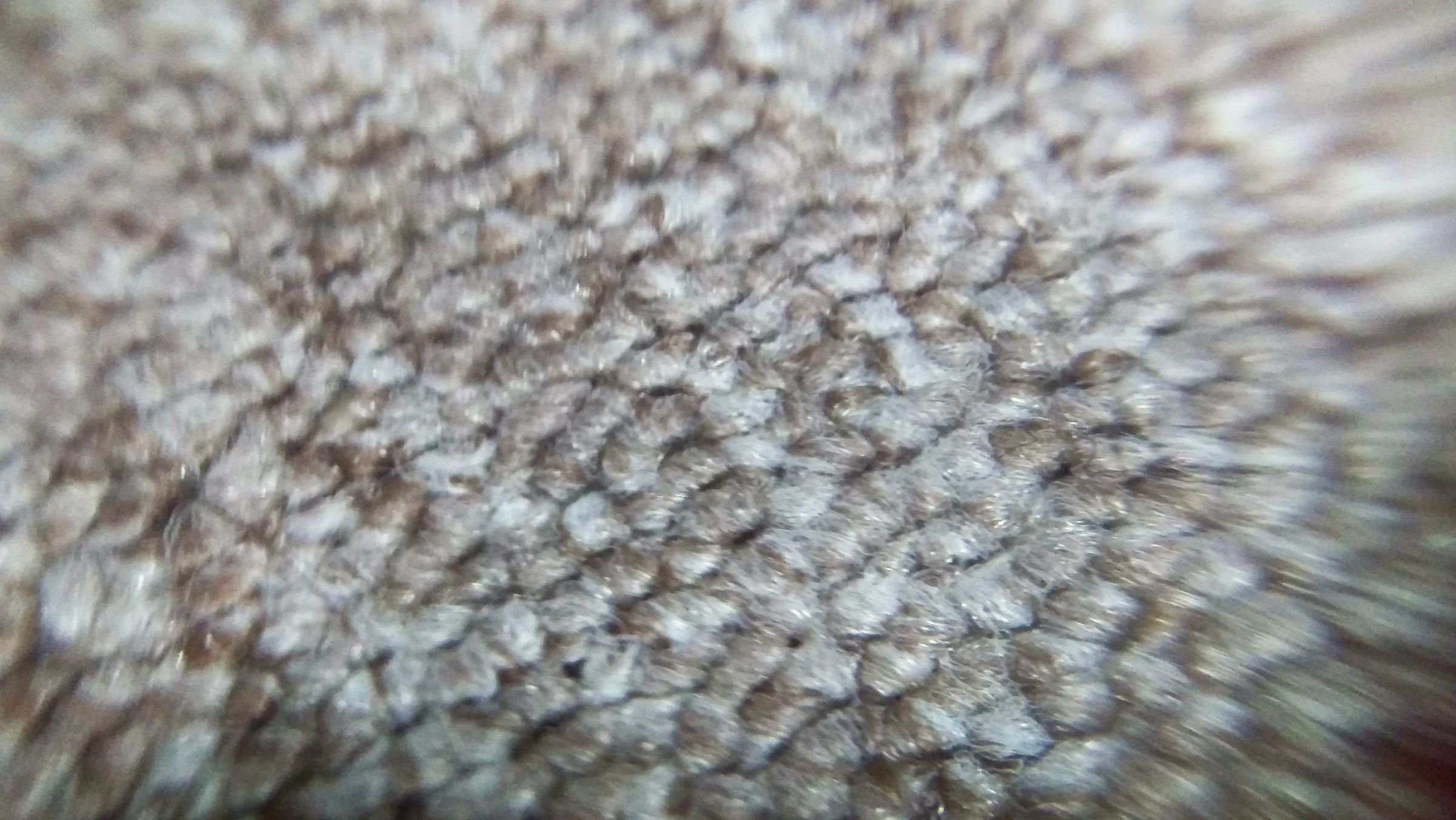 DIY MACRO LENS USING RECYCLED BOTTLE : 4 Steps - Instructables