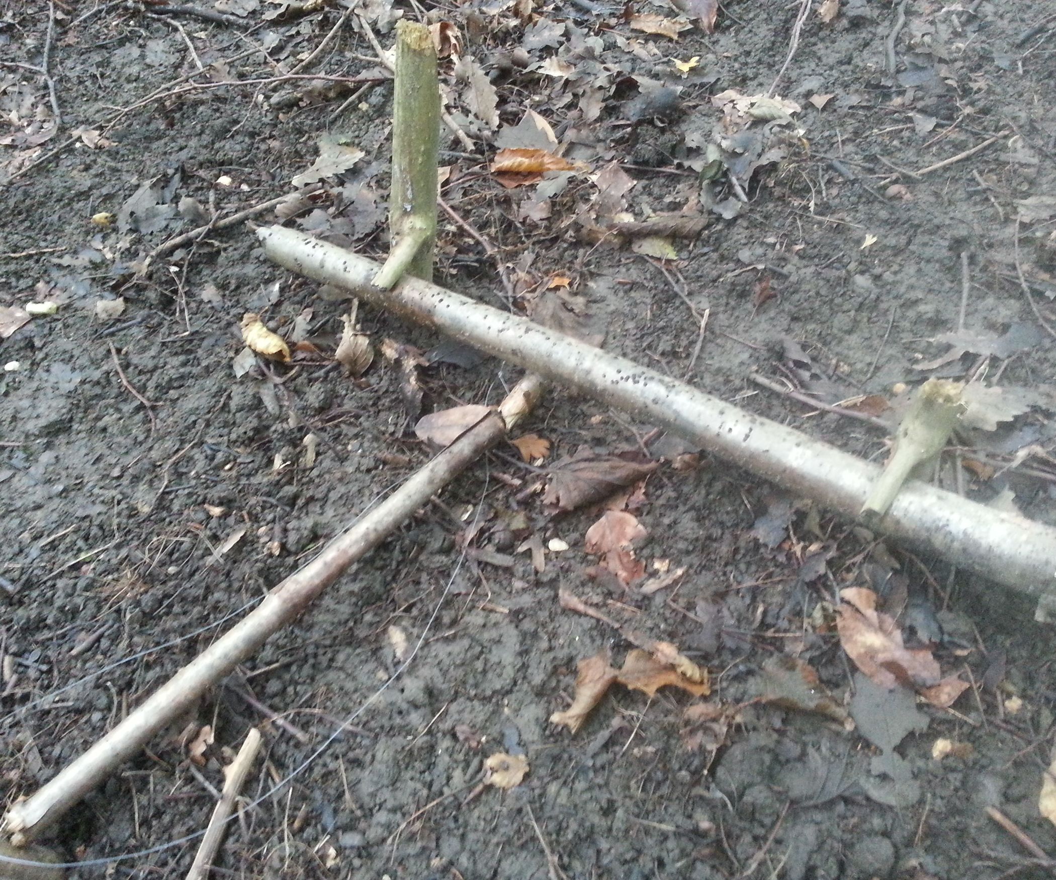 How to Make a Trap for Small Animals : 3 Steps - Instructables