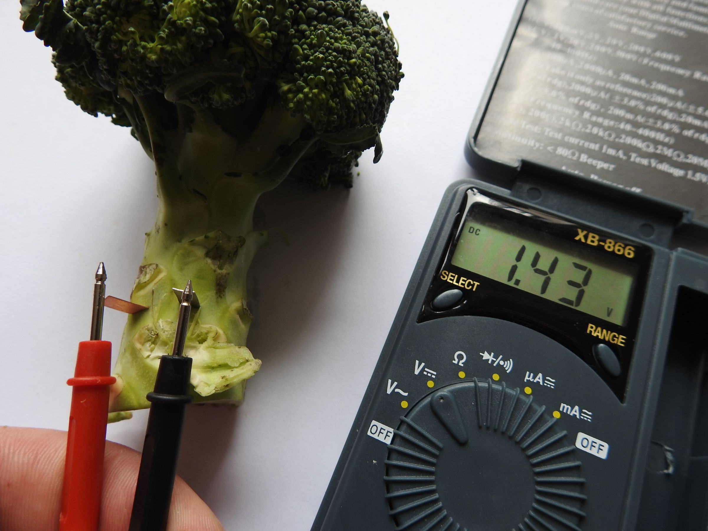 Greenest Energy in the Earth - Vegetable Battery (MEDELIS BATTERY Green ...