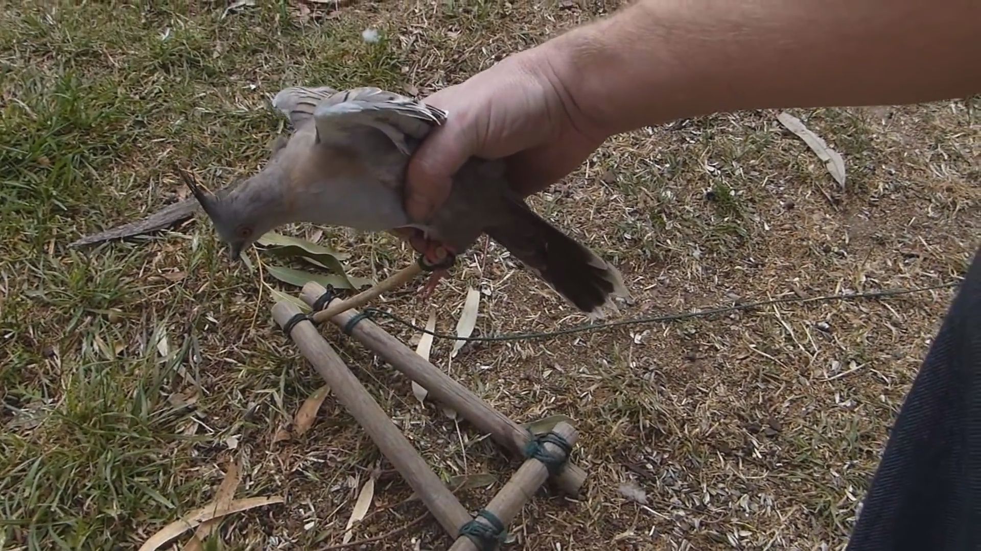 Primitive Torsion Spring Foot Snare : 6 Steps - Instructables
