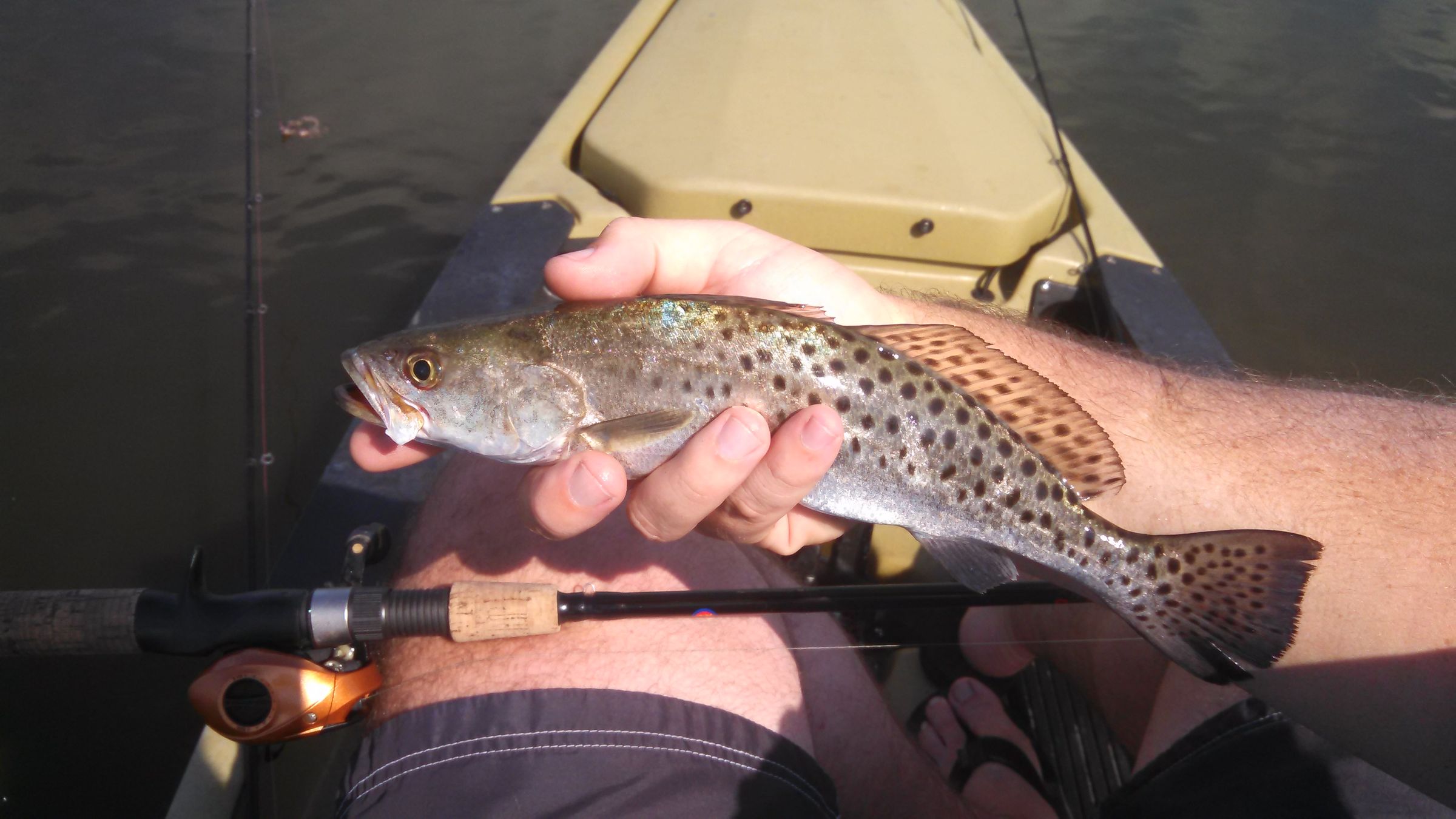 How to Catch, Clean and Cook Northern Florida Inshore Fish : 11 Steps ...