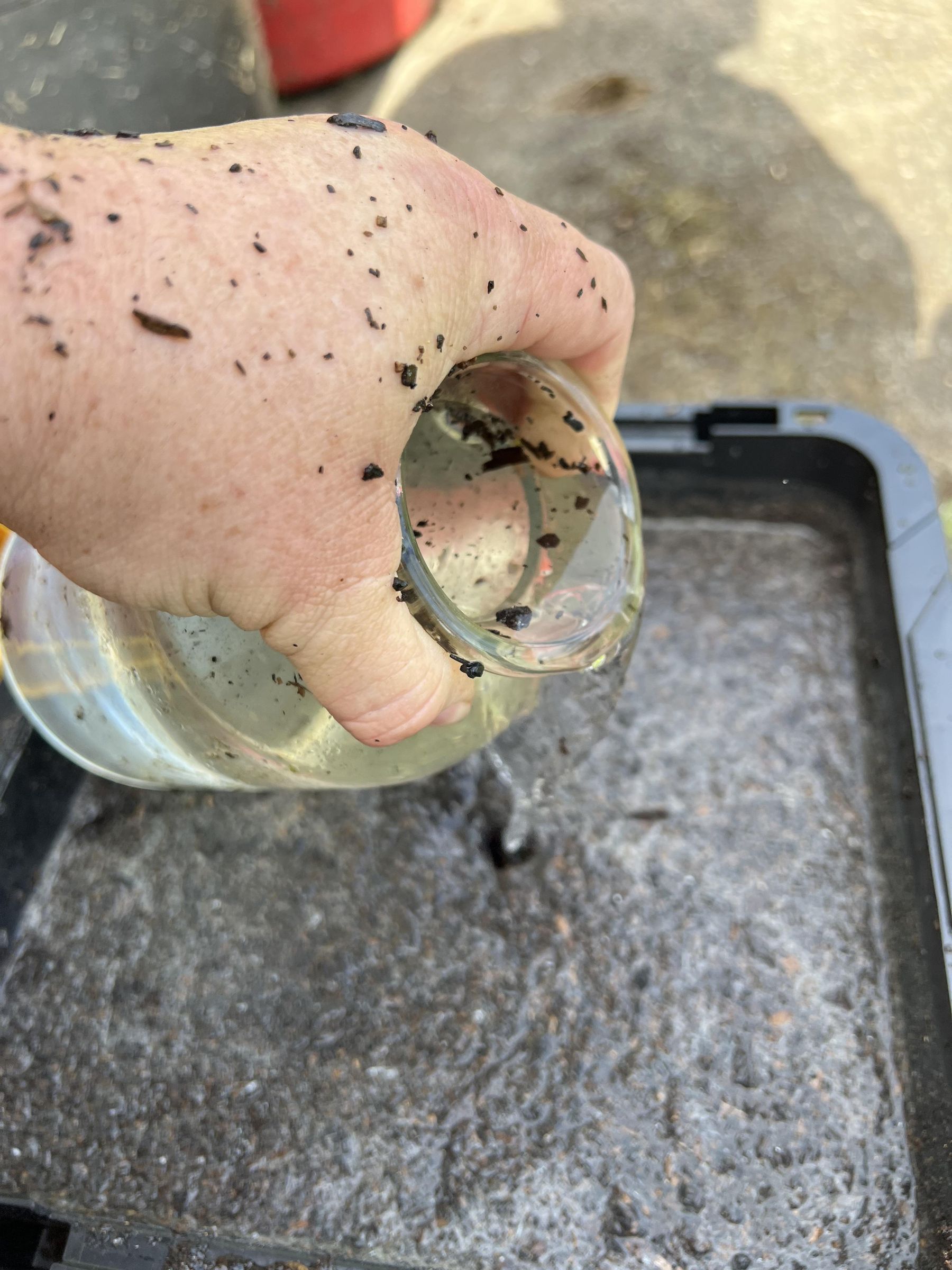 Manure Tea or Compost Tea : 4 Steps - Instructables
