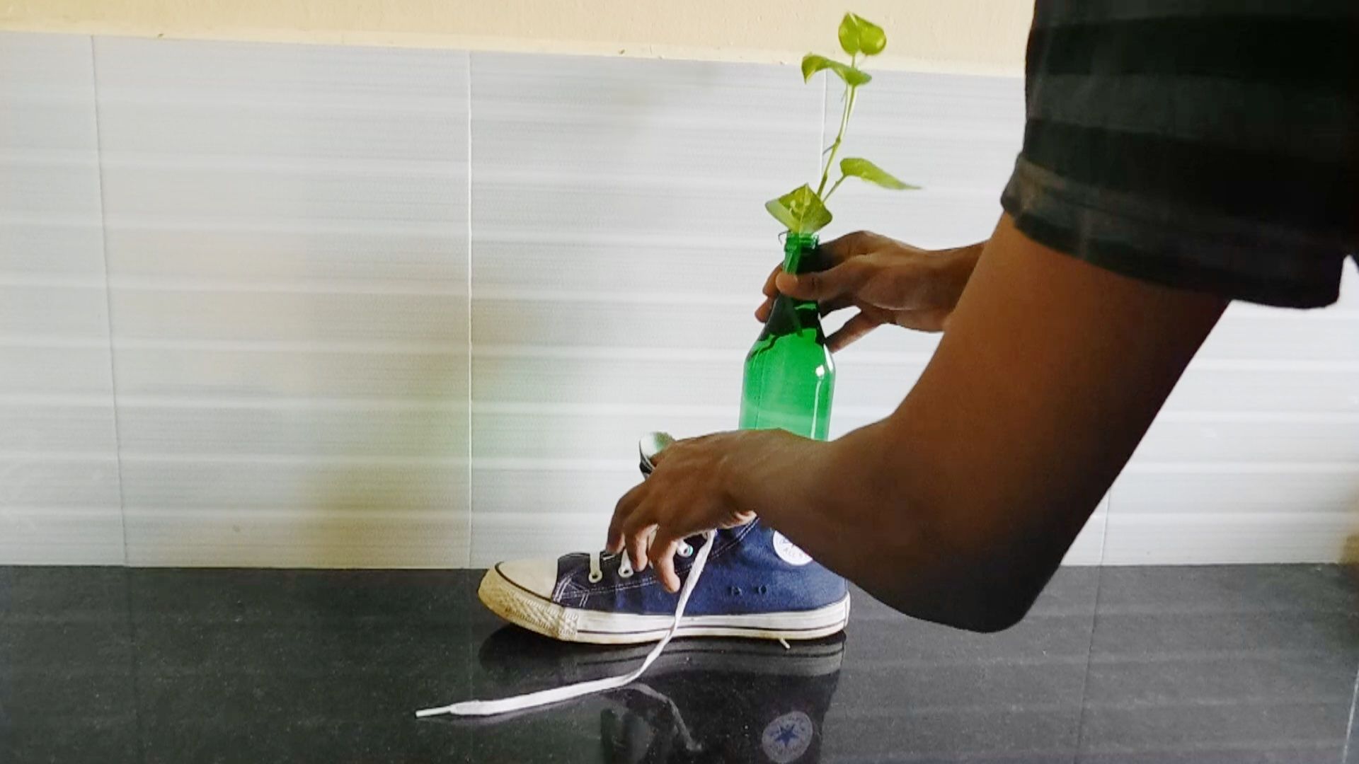 Indoor Planting Setup Using Your Old Shoe : 4 Steps - Instructables