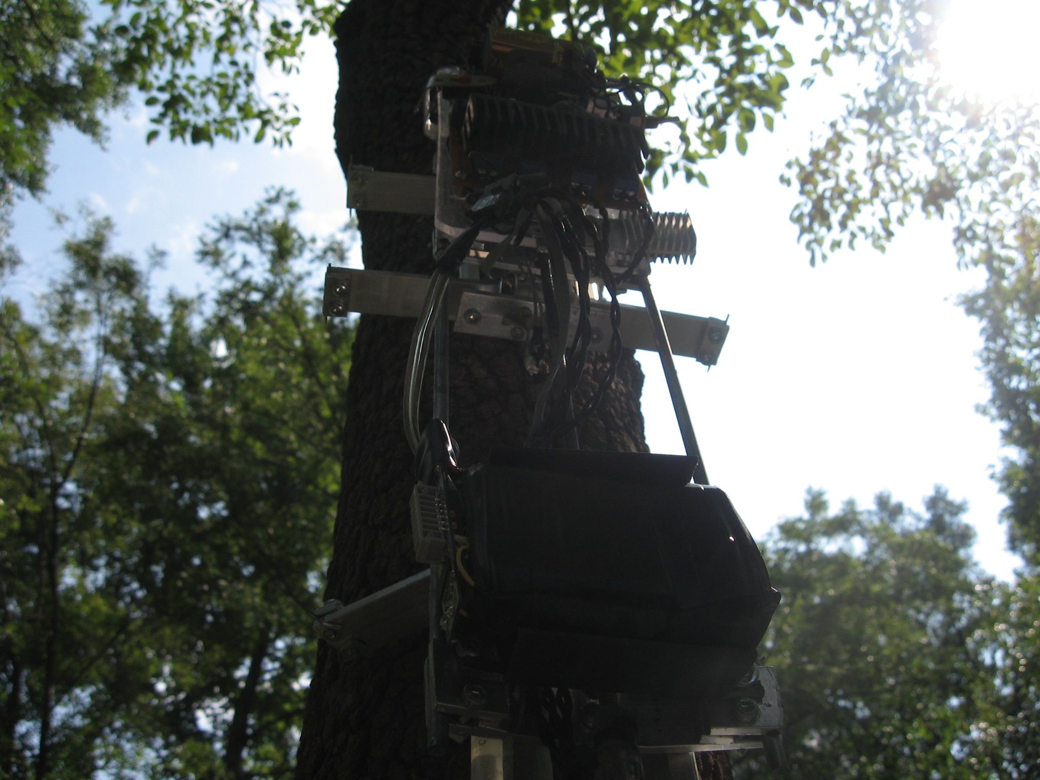 Tree Climbing Robot : 20 Steps (with Pictures) - Instructables