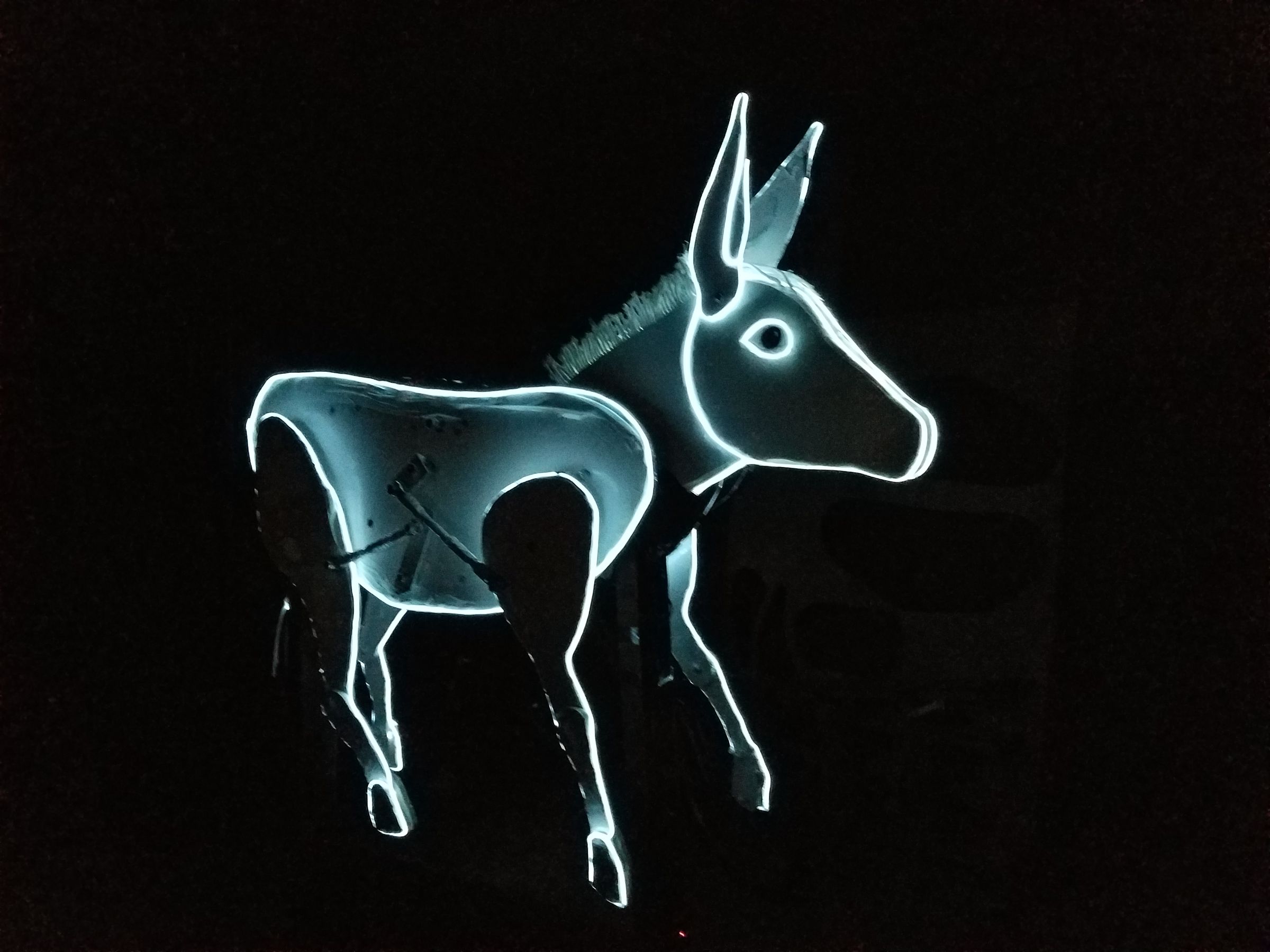 EL Wire Mechanical Donkey (Parade of Lights Float) : 16 Steps (with ...