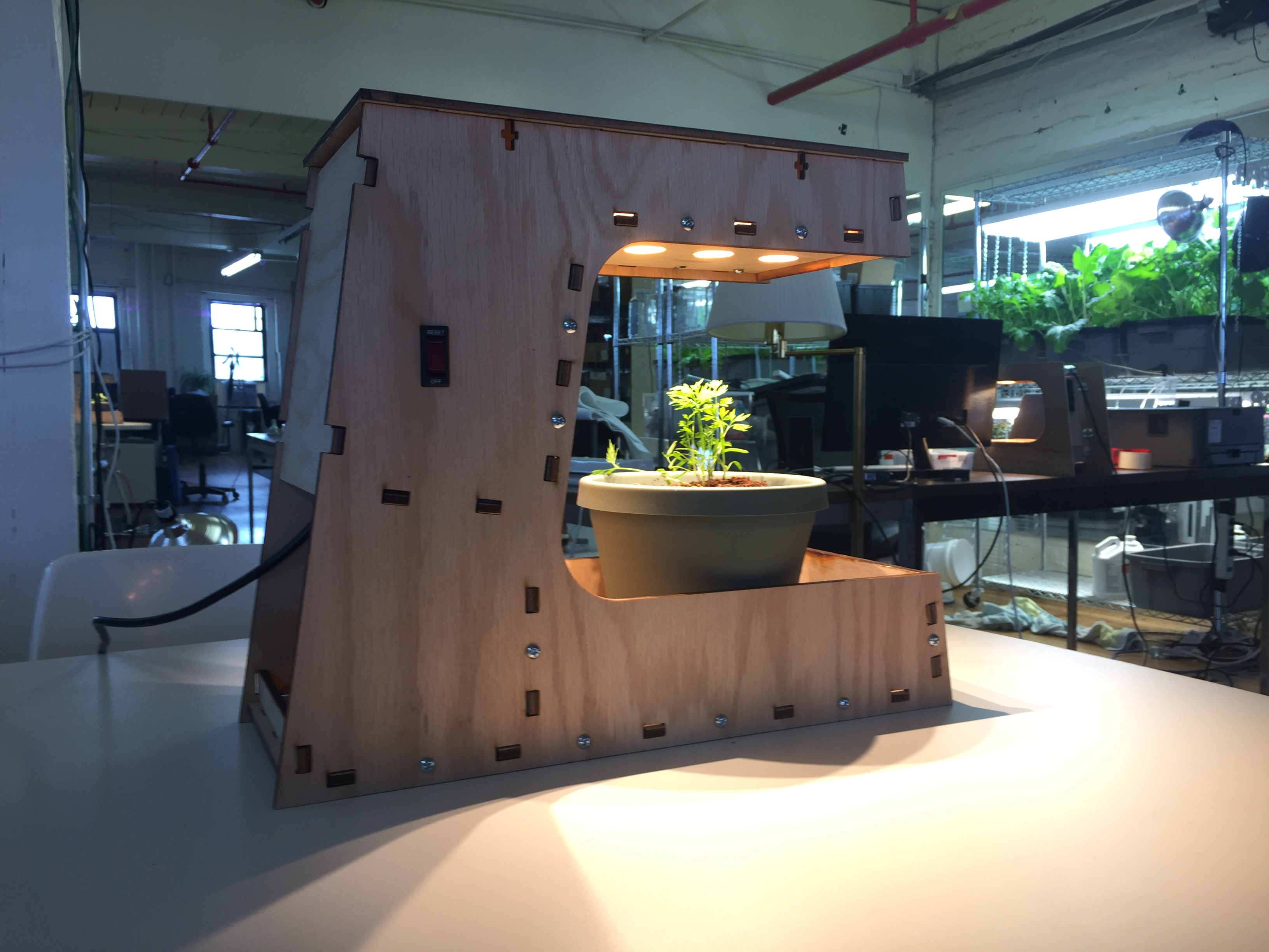 Desktop Gardening, Plantbot Beta : 3 Steps (with Pictures) - Instructables