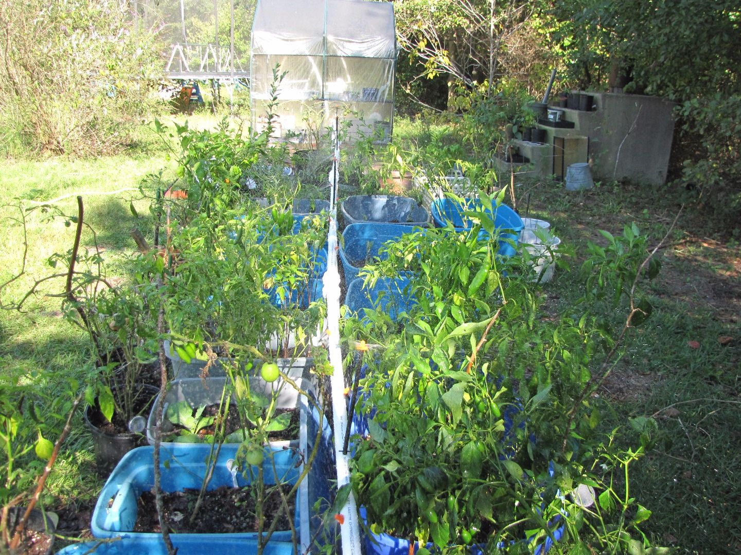 Fast and Easy, PVC Garden Watering System (for Under $70) : 7 Steps ...