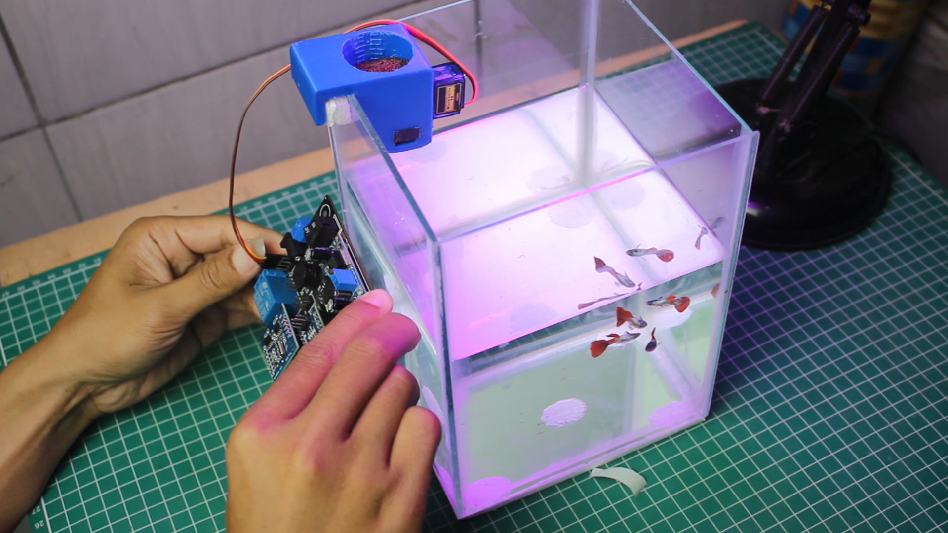 Automatic Fish Feeder Using Arduino Nano : 8 Steps (with Pictures ...