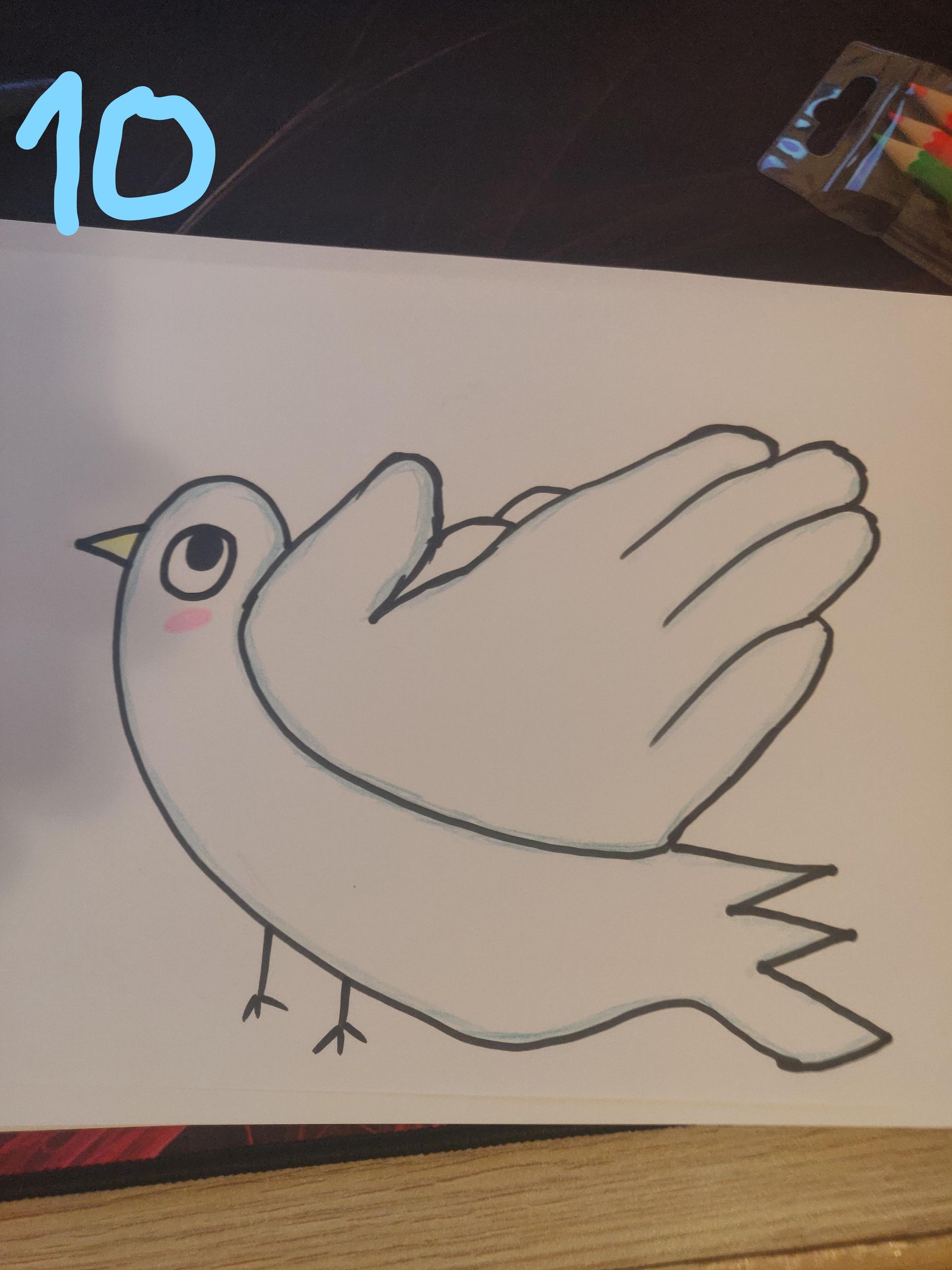 Dove Drawing