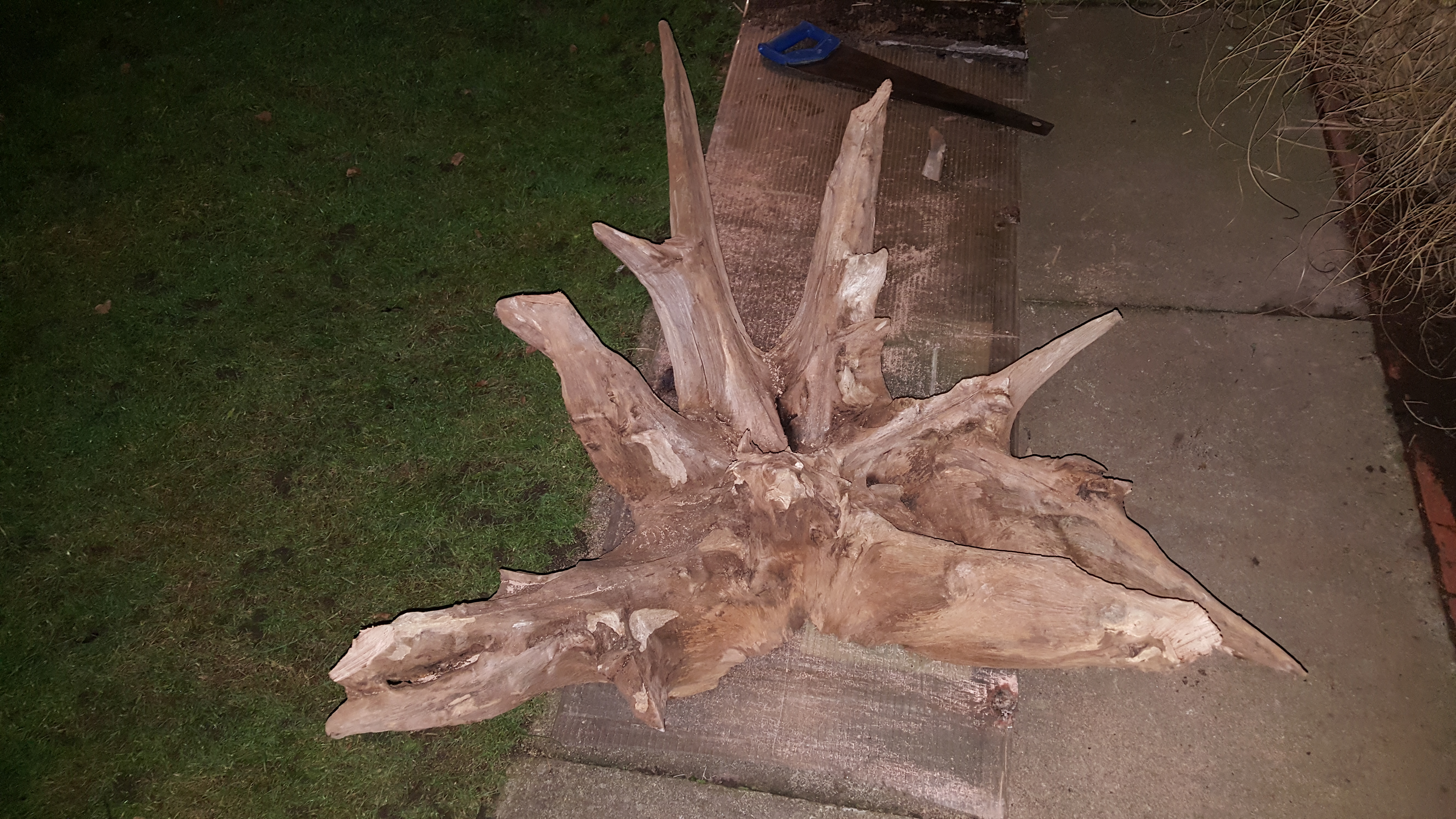 Tree Root Table With Custom Glass Top and Underlight : 10 Steps (with ...