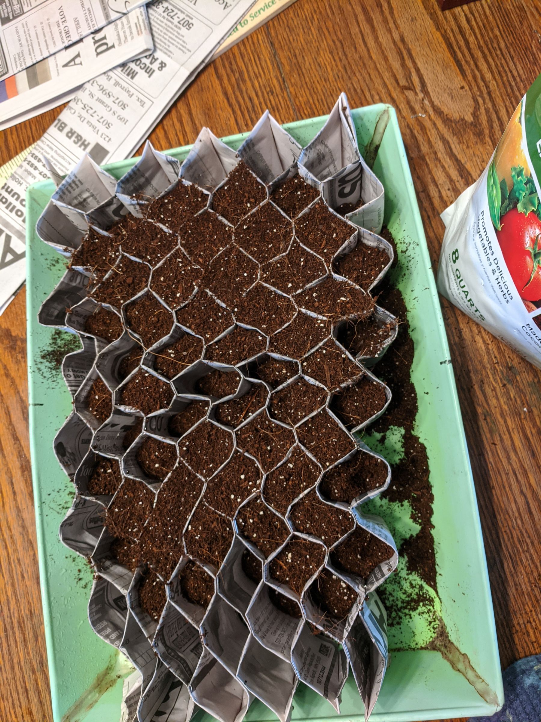 Seedling Tray Insert : 9 Steps (with Pictures) - Instructables