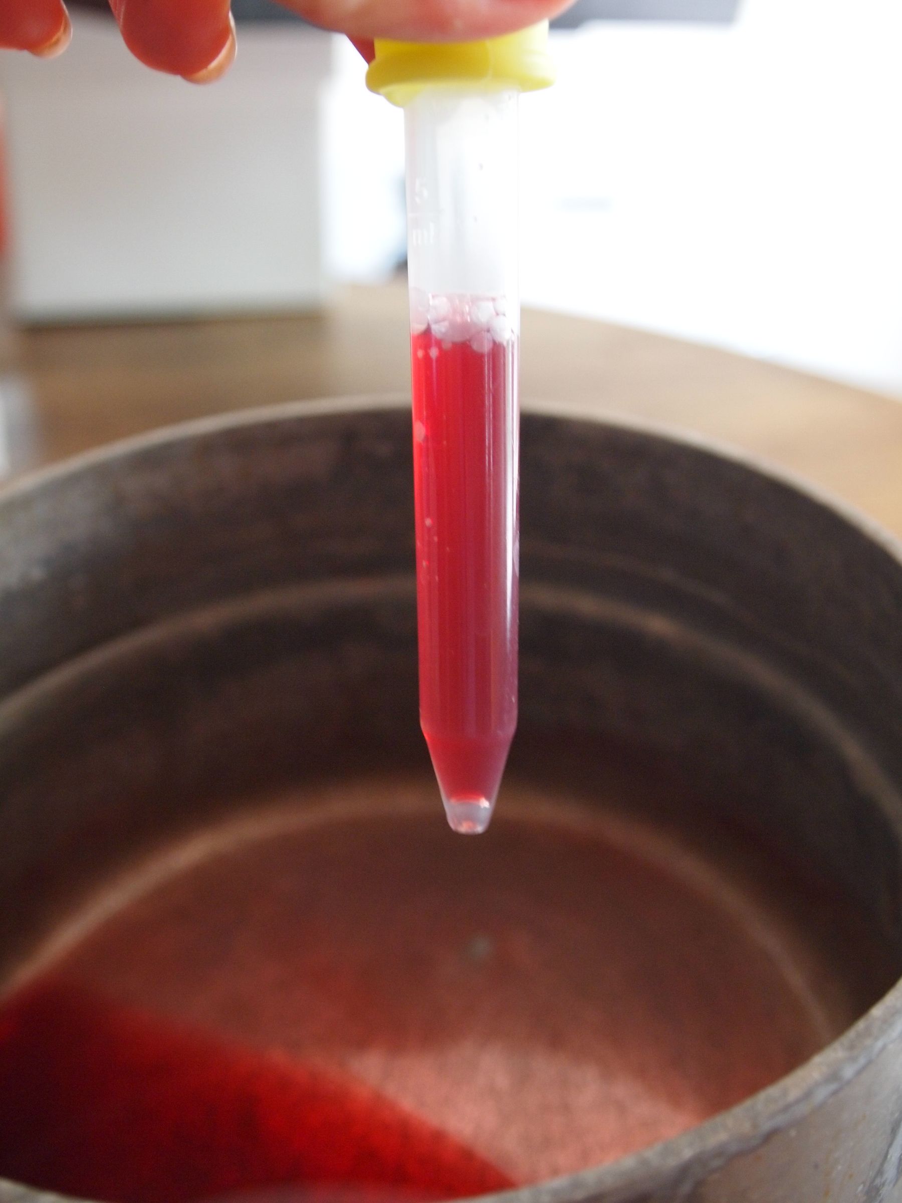 Juicy Spheres Snack - Easy Kitchen Science : 6 Steps (with Pictures ...