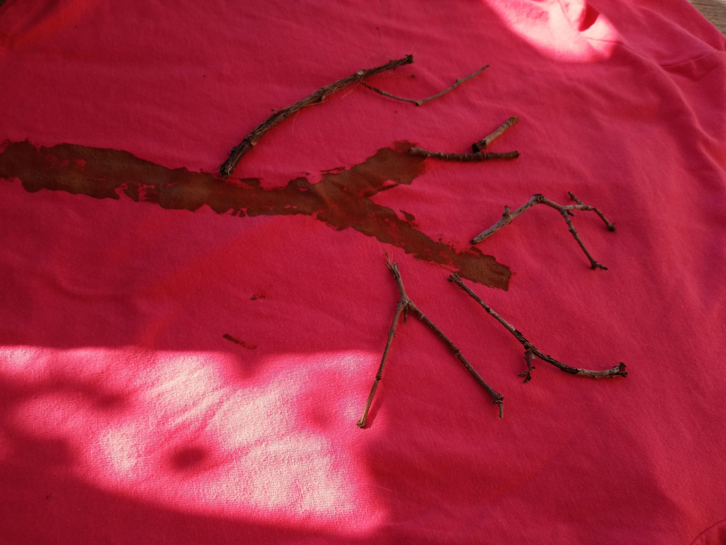 Sticks and Bouncy Balls Used to Decorate a Shirt : 6 Steps - Instructables