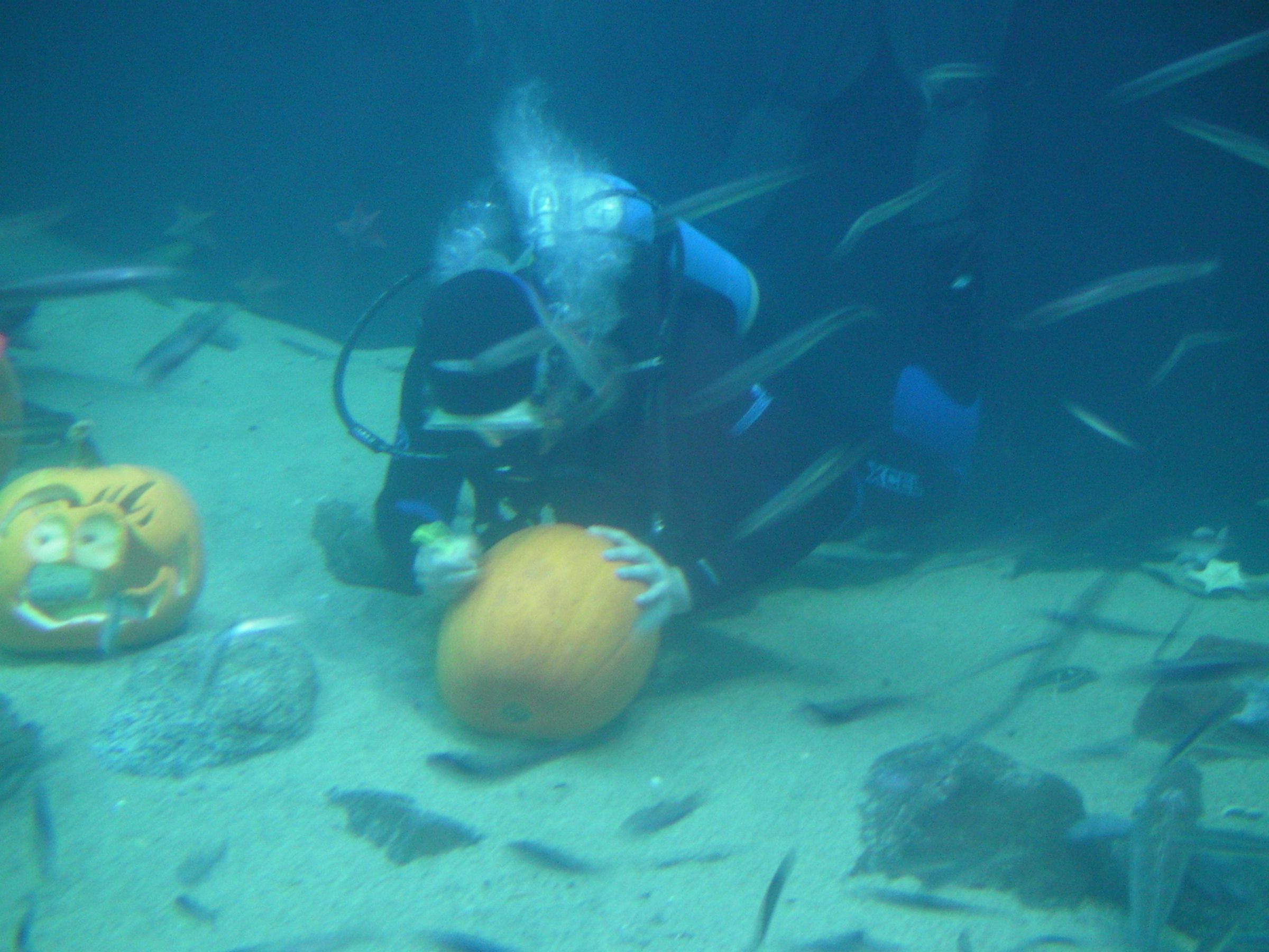 Underwater Pumpkin Carving How To : 8 Steps (with Pictures) - Instructables