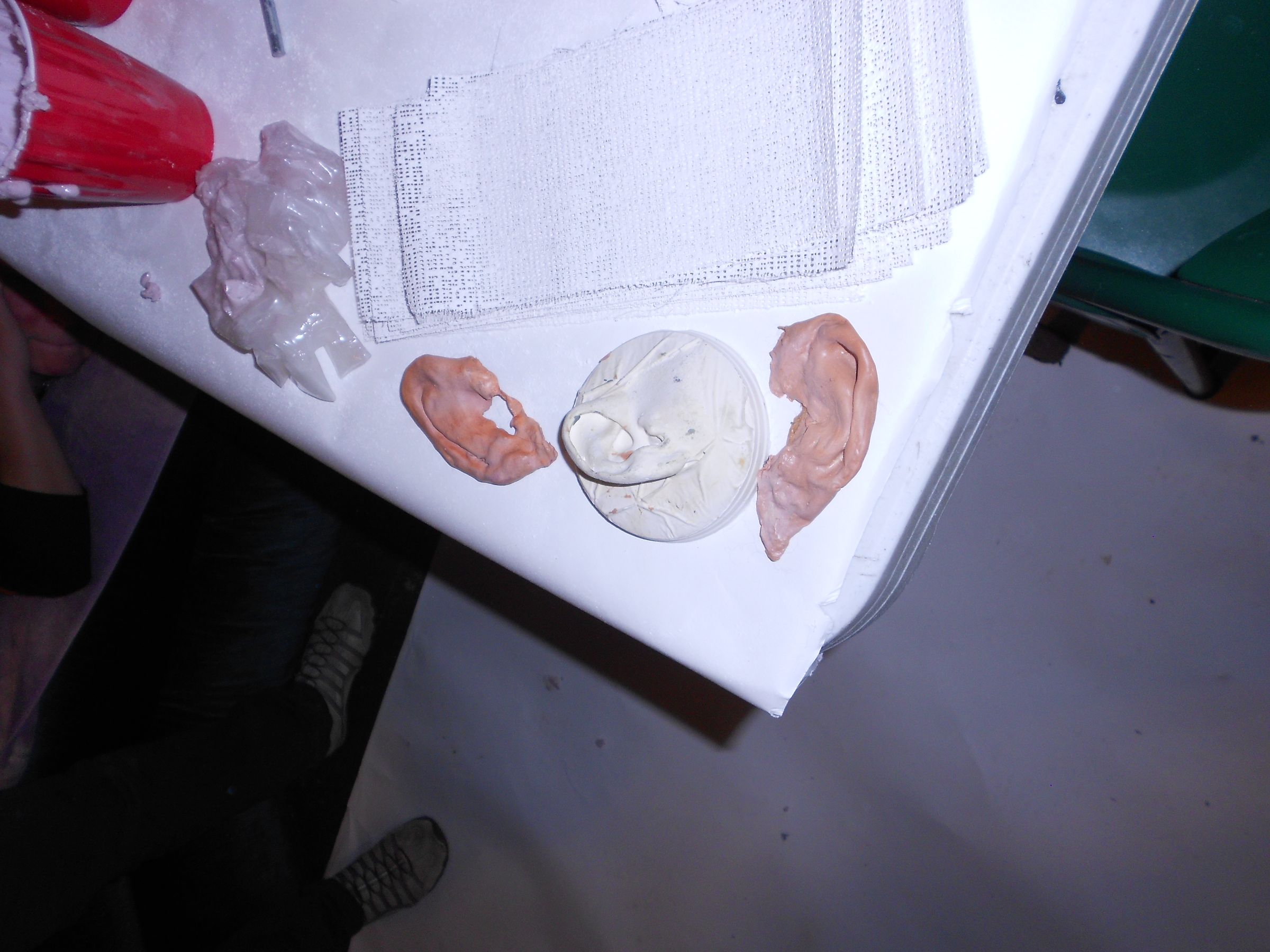 Casting Ears for Costume $10 (Theater, Film, Cosplay, or Prosthetic ...