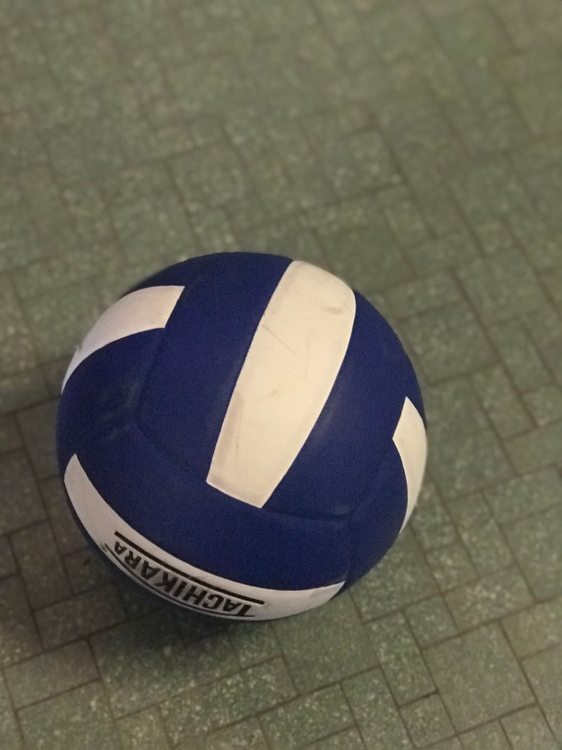 How to Do a Roll Dive in Volleyball (for Experienced Players) : 10 ...