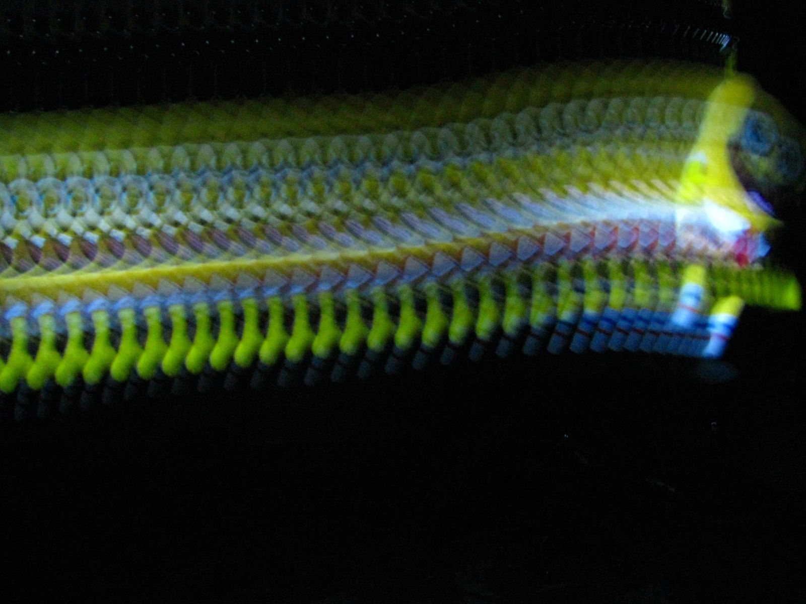 Build a Mechanical Camera Stroboscope / Strobe - Instructables