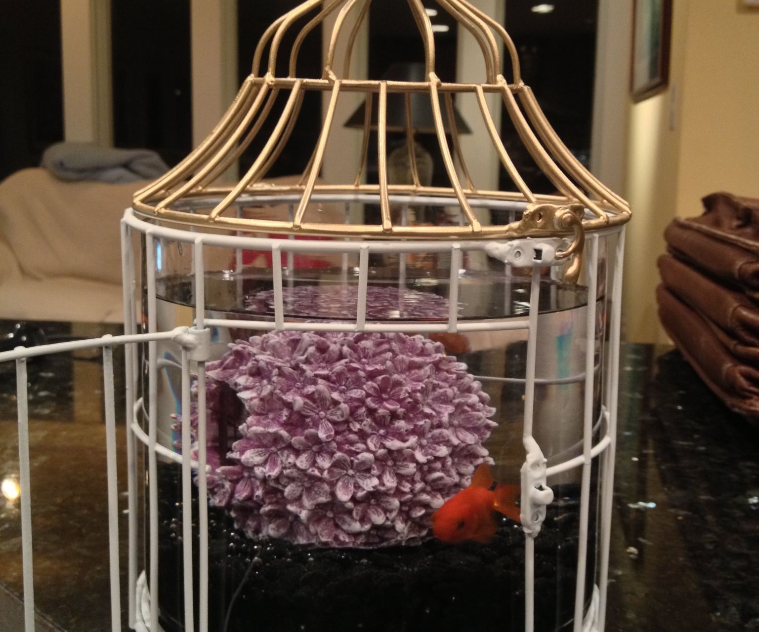 Fishcage : 5 Steps (with Pictures) - Instructables