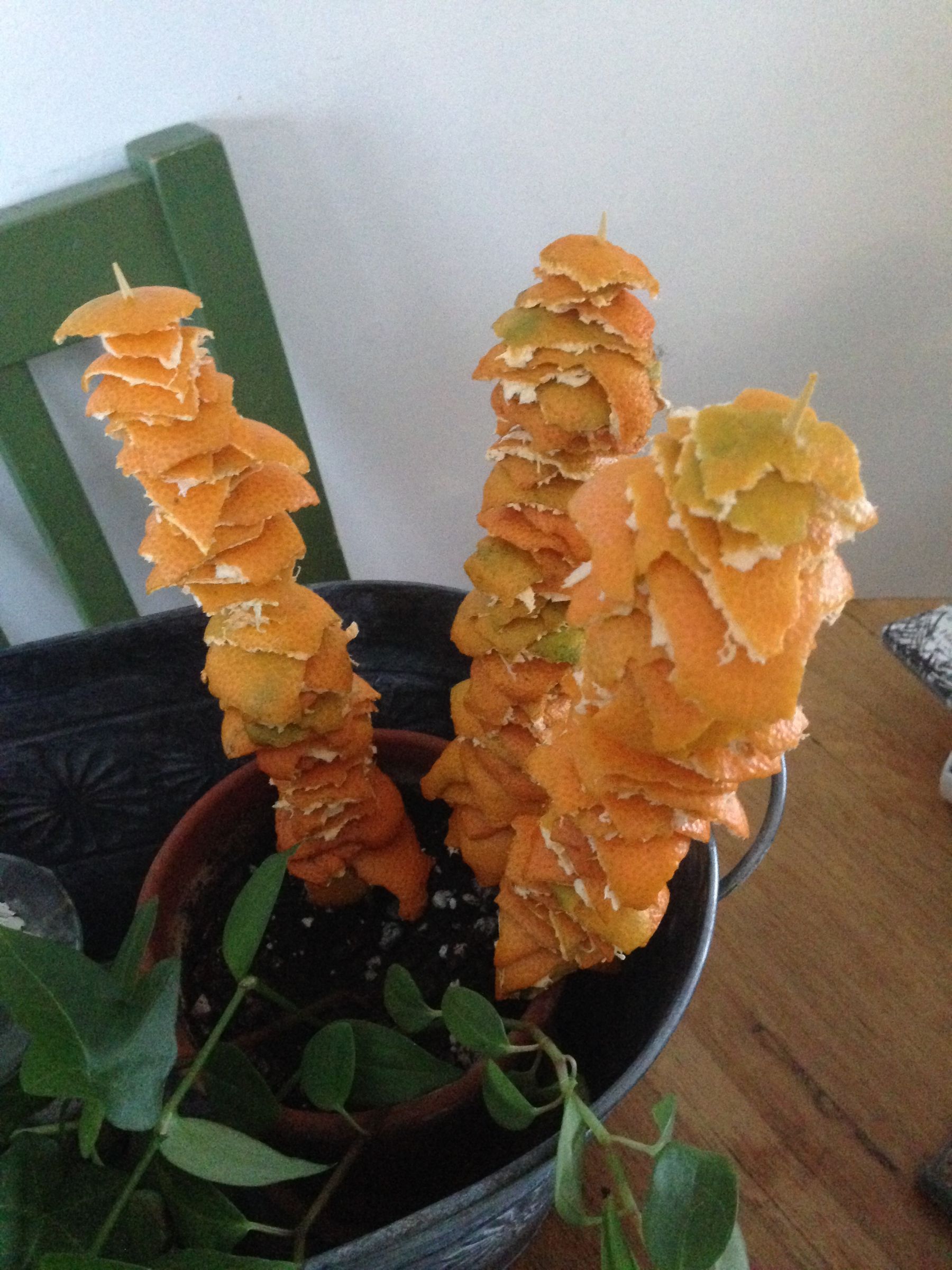 Orange Peel Skewers : 4 Steps (with Pictures) - Instructables