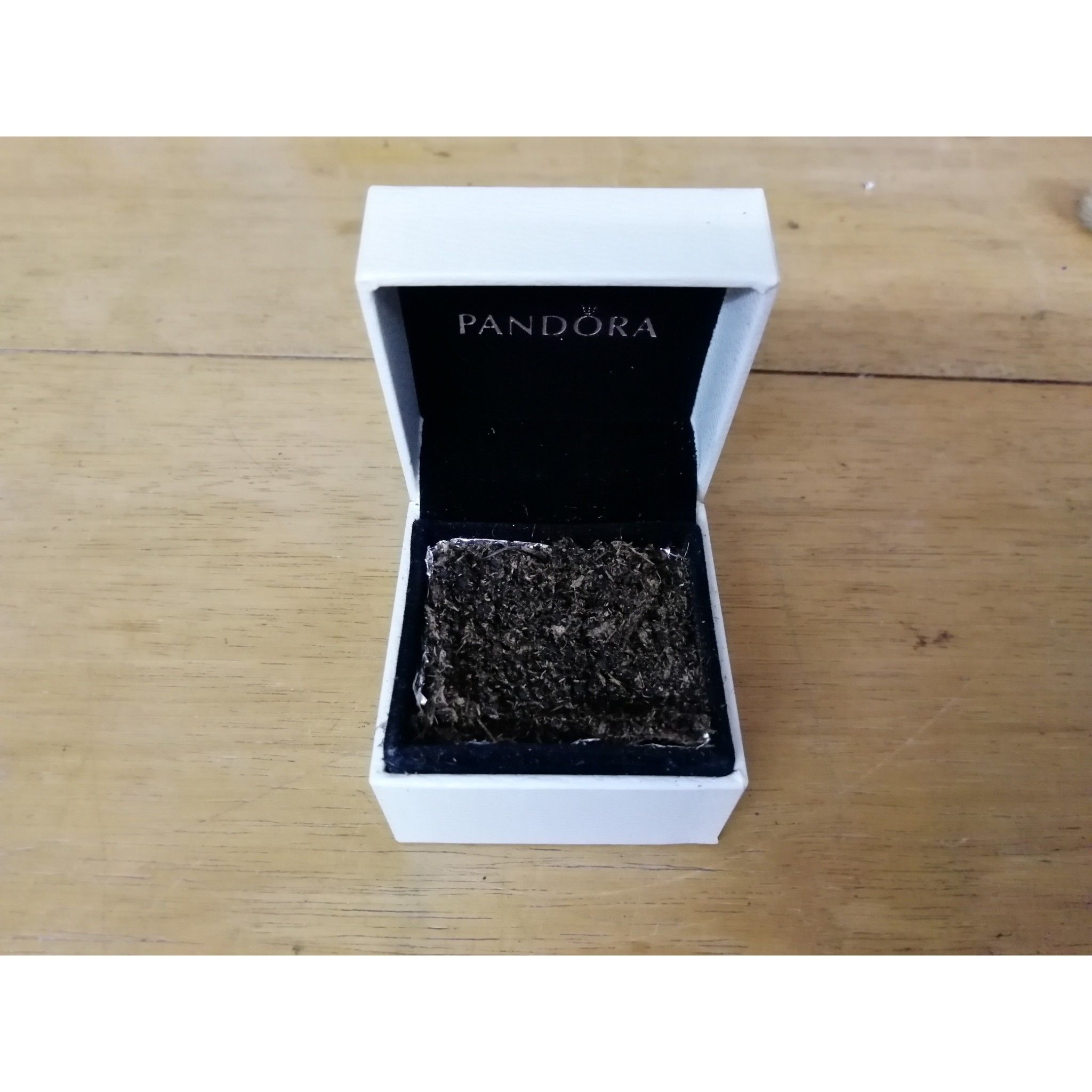 Jewel Plants Composition Realized With Empty Jewelry Boxes : 4 Steps ...