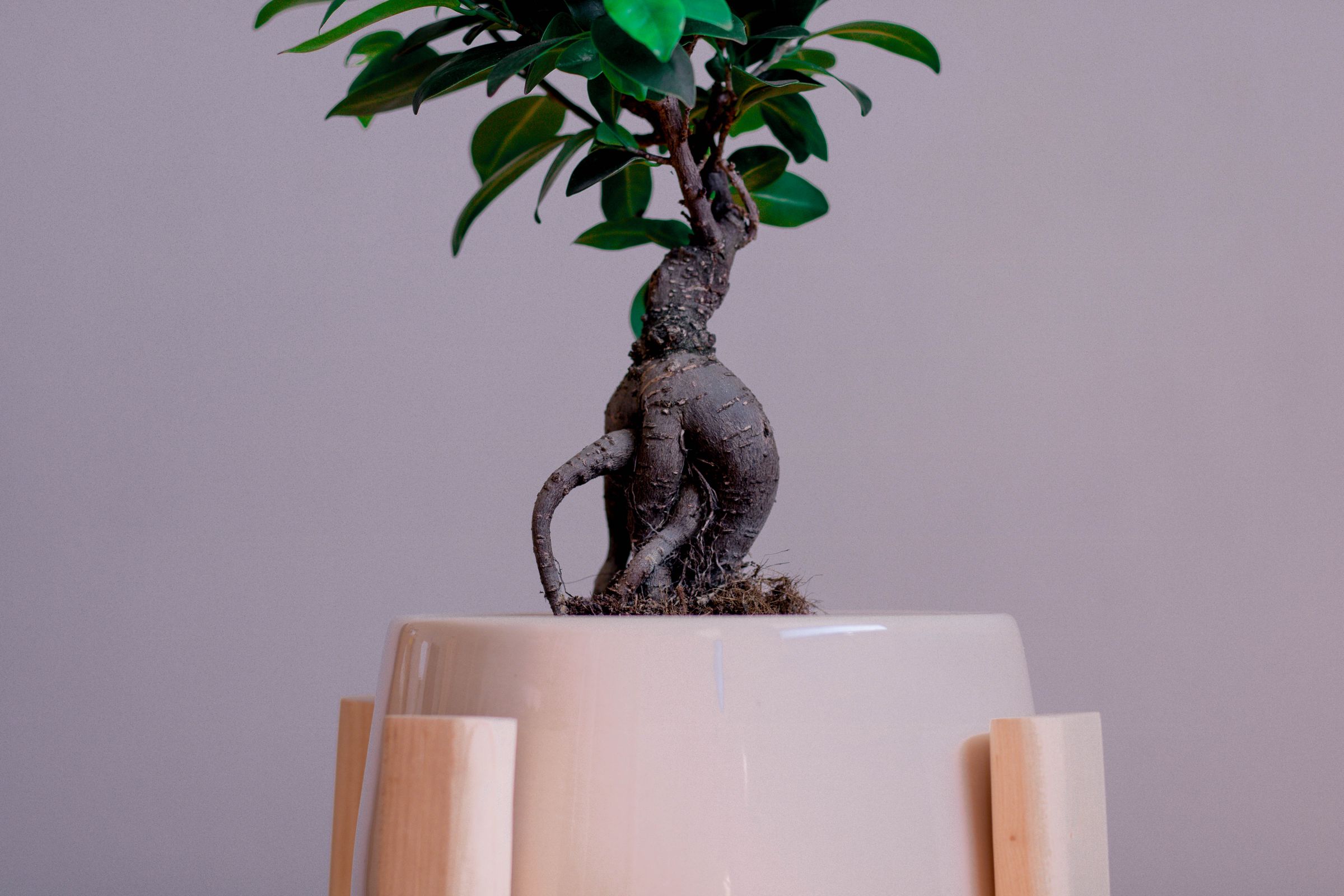 Japanese Plant Stand : 14 Steps (with Pictures) - Instructables