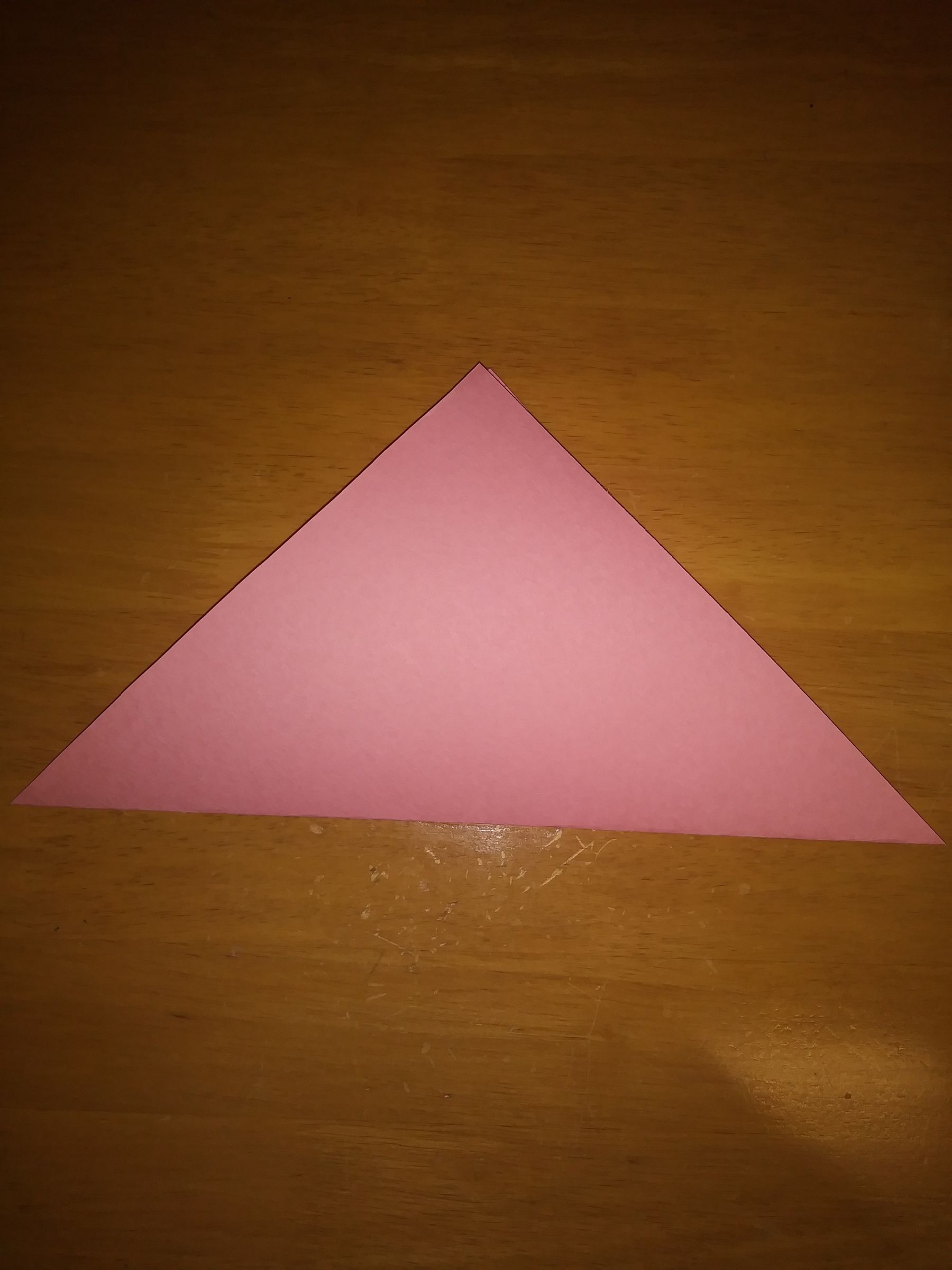 Easy Origami Walrus : 7 Steps - Instructables