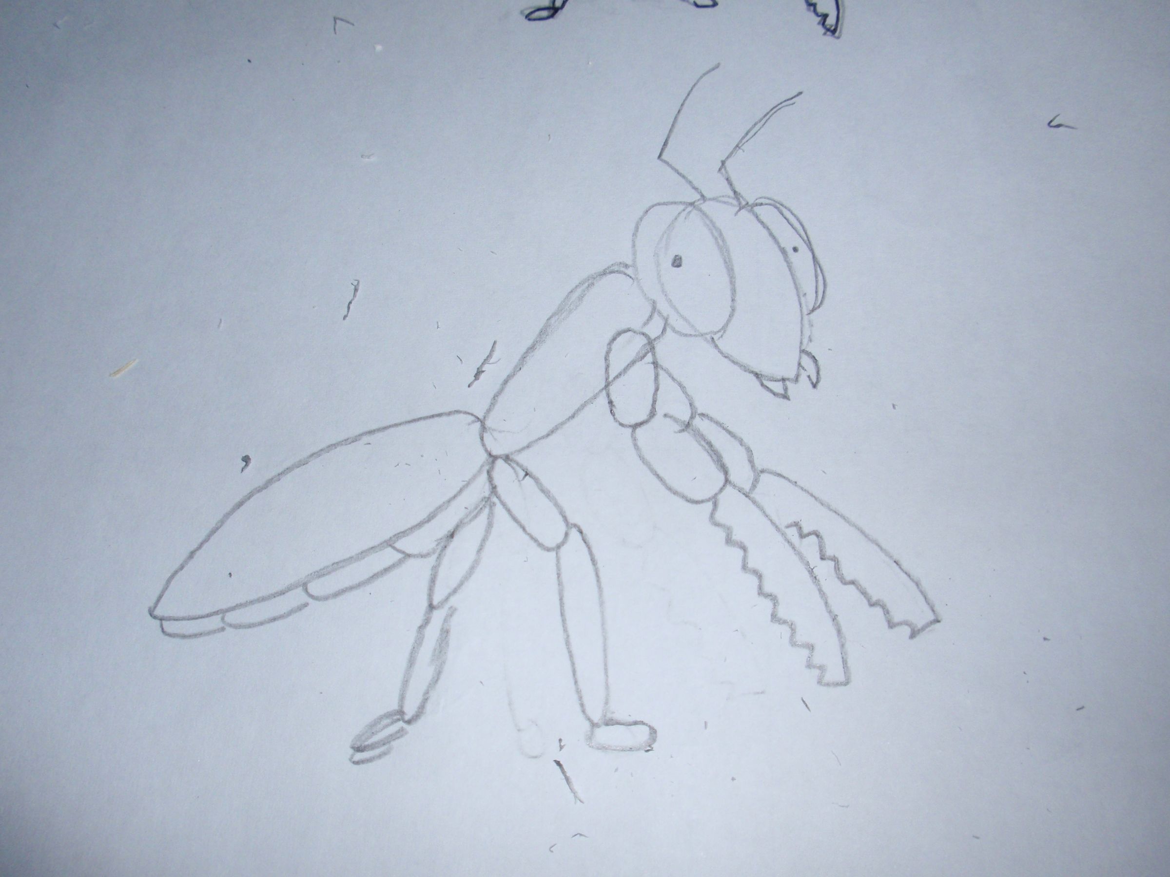 How to Draw Gary the Praying Mantis! : 4 Steps - Instructables