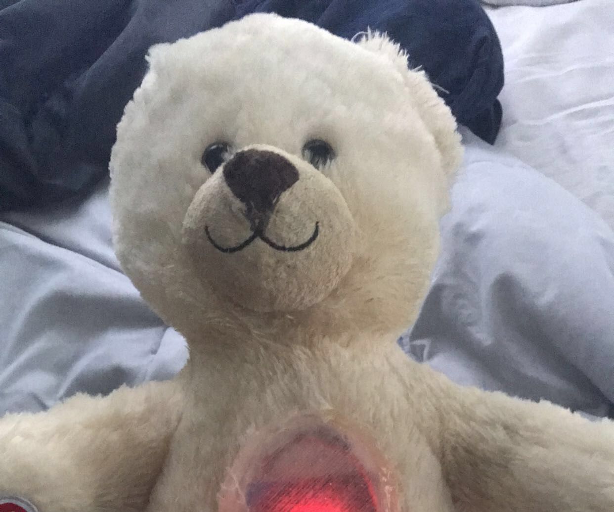 Singing and Light Up Teddy Bear : 6 Steps - Instructables
