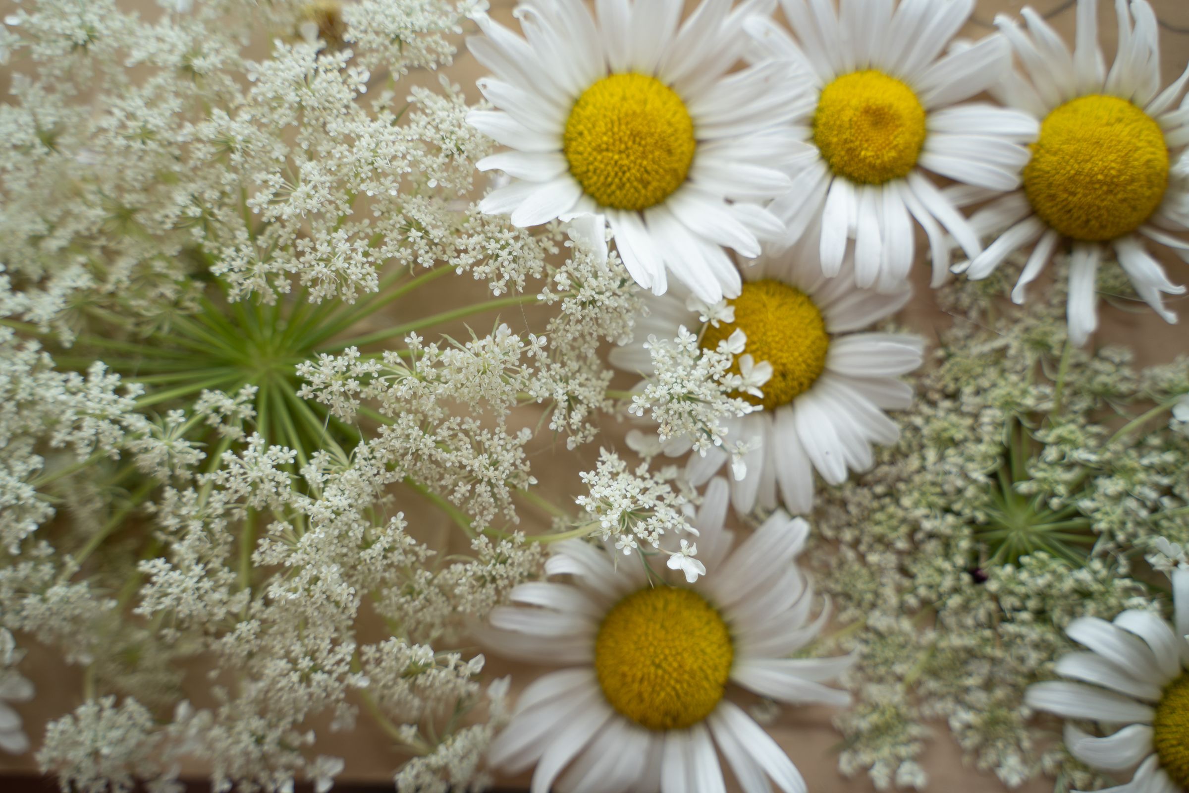 Creating a Map With Flowers + Constructing Your Own Artistic Style : 5 ...